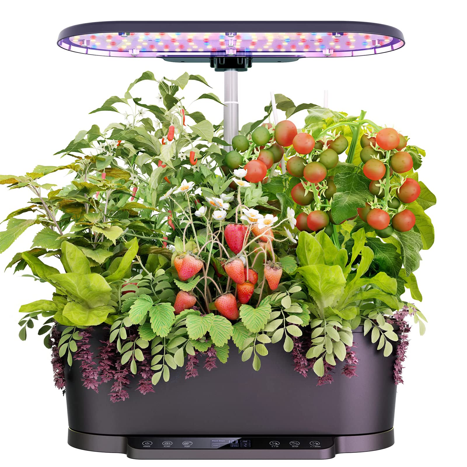 Amazon.com: QAZWSXED Hydroponic Growing System, WiFi 15 Pods Indoor ...