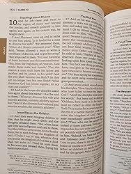 The Great Adventure Catholic Bible: Cavins, Jeff: 9781945179419: Amazon.com: Books