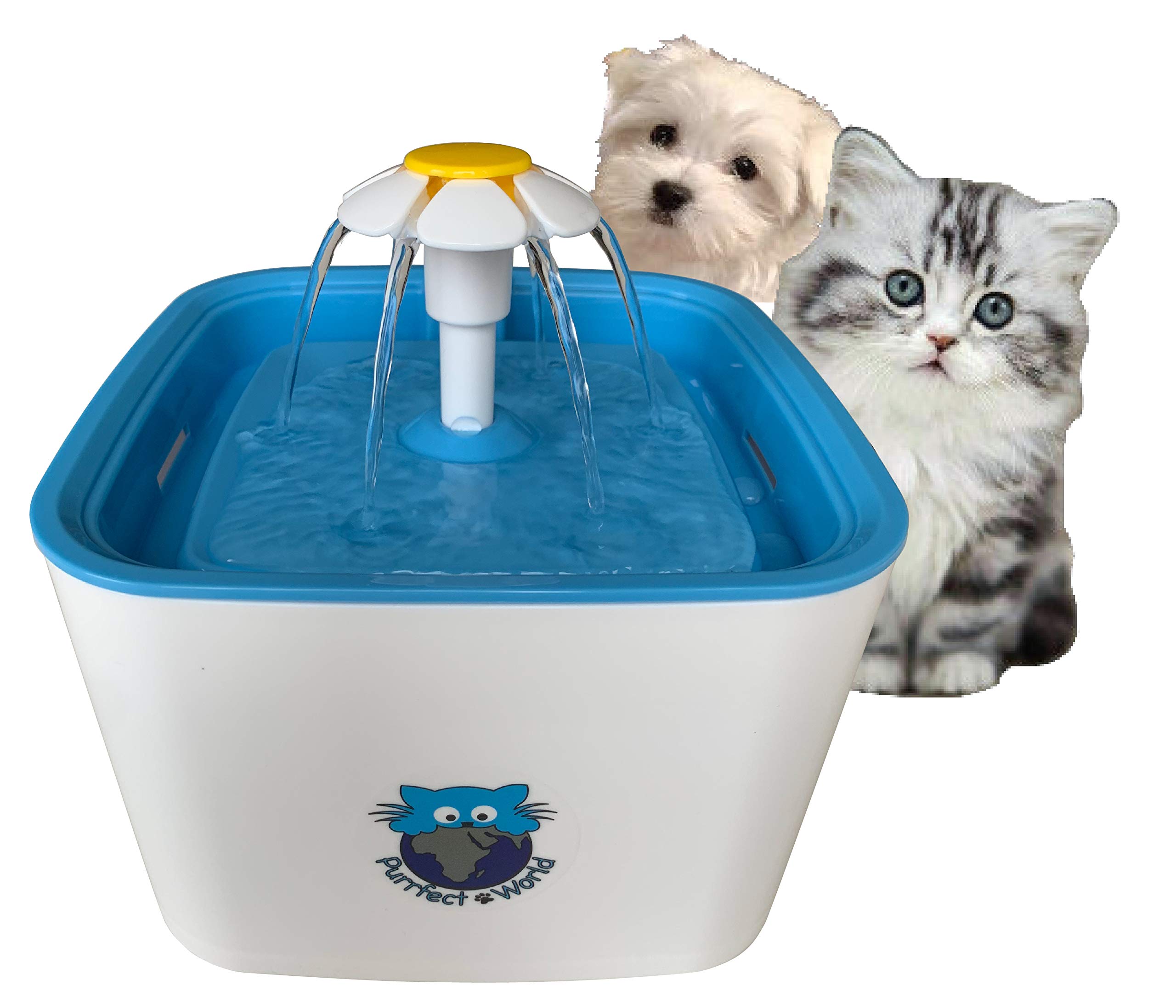Can You Give Dogs Filtered Water
