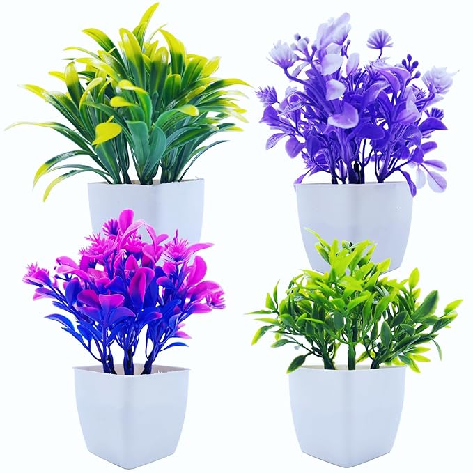 Buy Flora Planet® Set of 4 Mini Multicolour Plants with Pots - Small ...