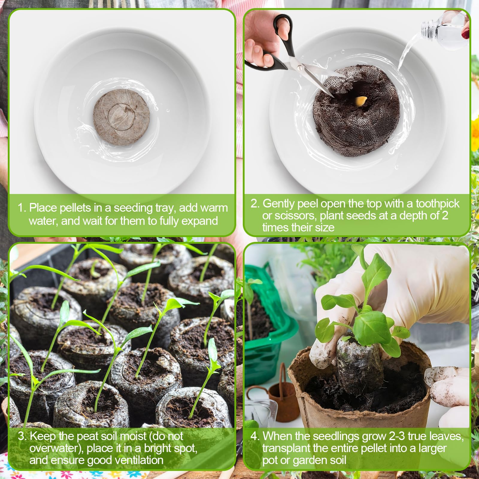 Snapklik.com : Legigo 200 Pcs 30mm Seed Starter Peat Pellets Pods For ...