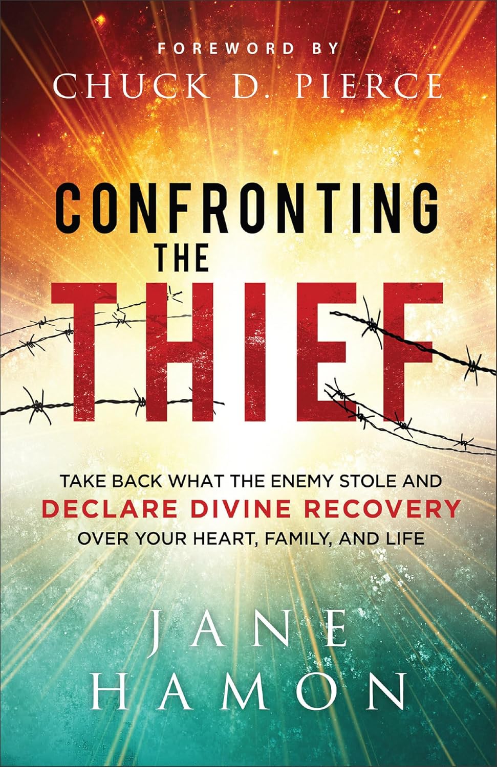 Confronting the Thief: Take Back What the Enemy Stole and Declare ...