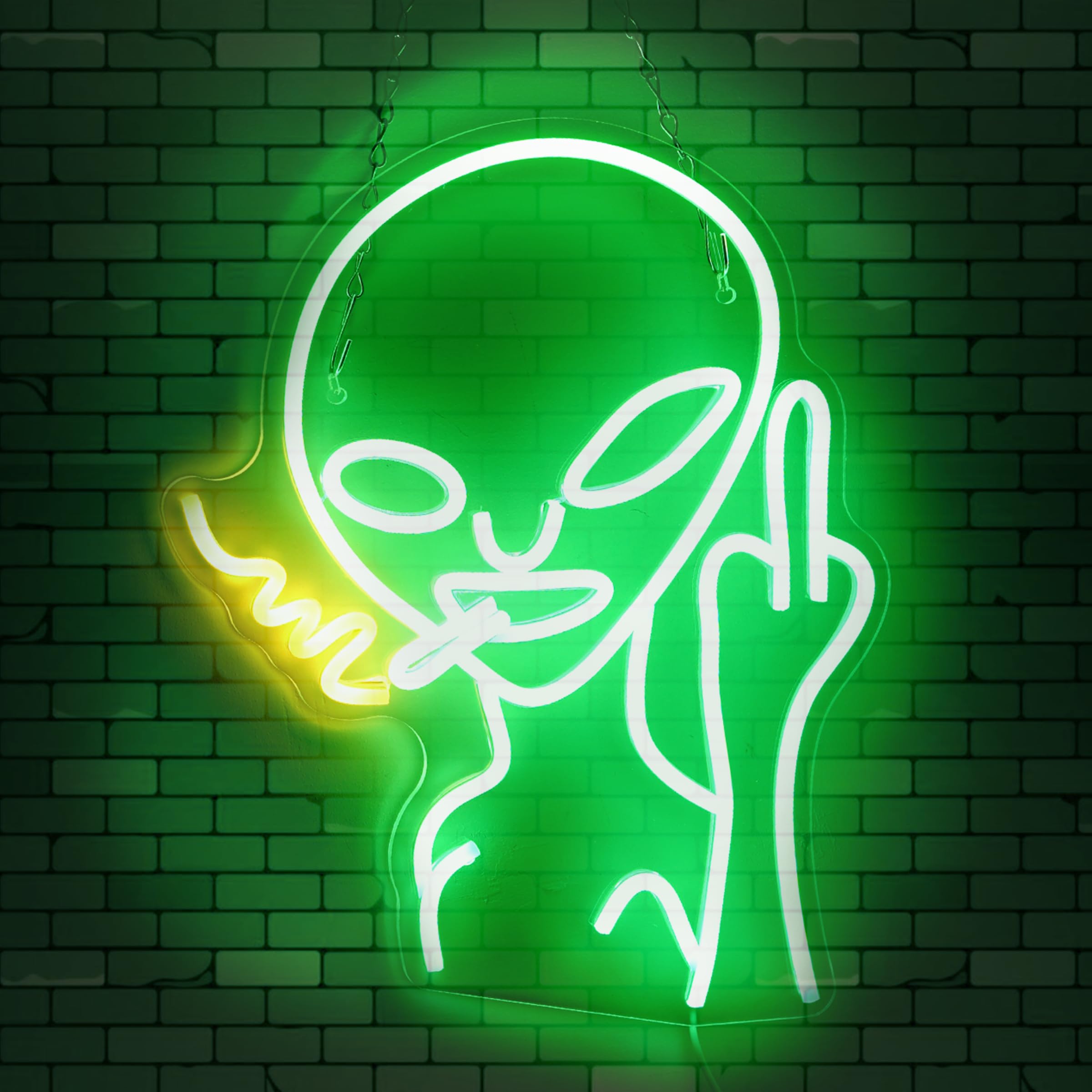 Amazon.com: Green Alien Neon Signs Light, Dimmable USB Powered LED ...