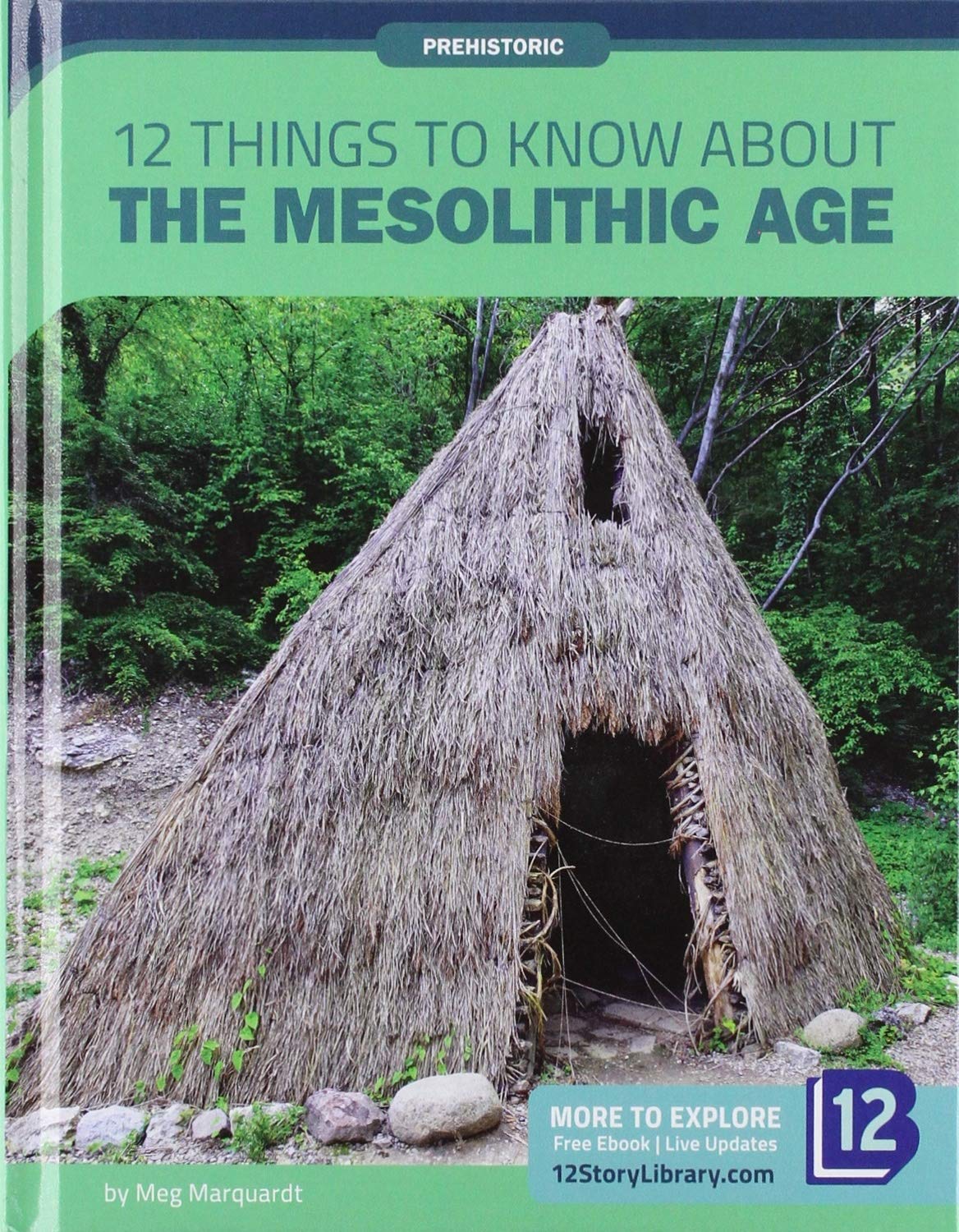 Buy 12 Things to Know about the Mesolithic Age Online at desertcartINDIA