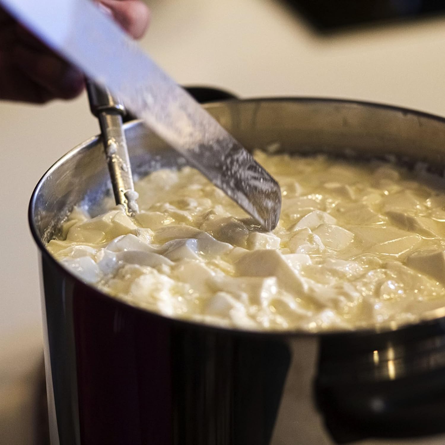 Microbial Rennet 100 ML Vegetarian Coagulant for Cheese – Yaxa Colombia