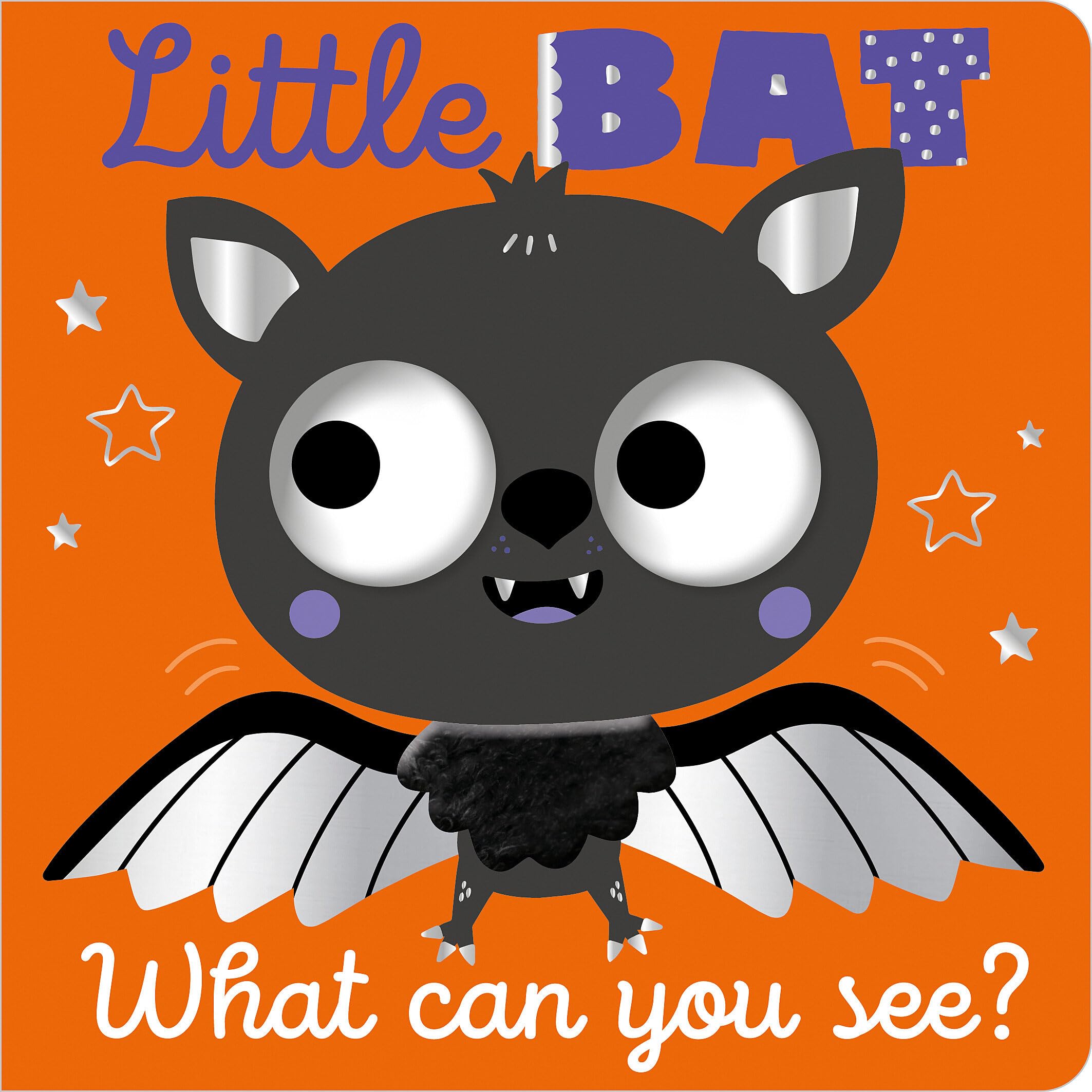 Amazon.com: Little Bat What Can You See?: 9781805442066: Jenkins, Cara ...