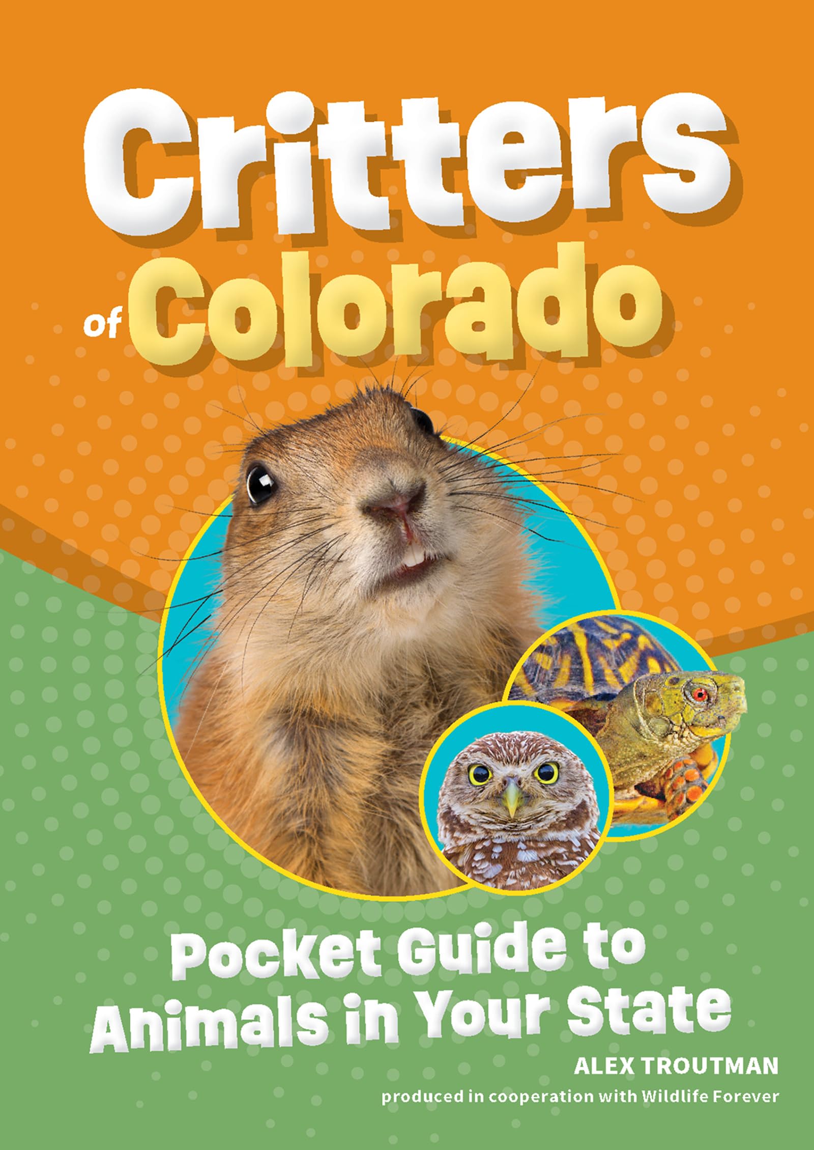 Critters of Colorado: Pocket Guide to Animals in Your State (Wildlife ...