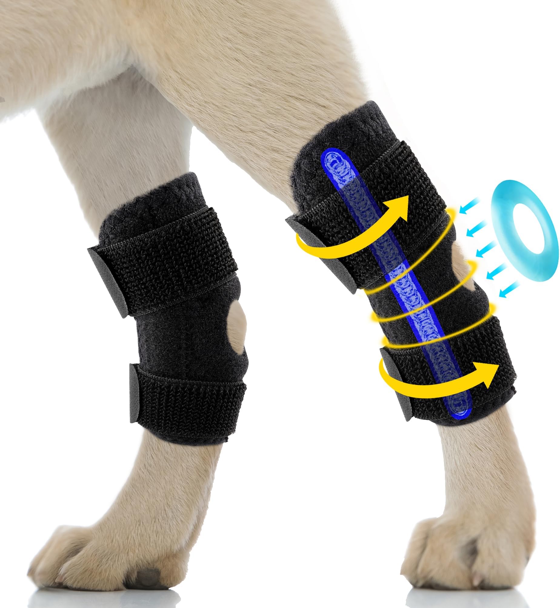 Amazon.com : MDEKLJA Dog Knee Brace for Back Leg,Dog Knee Brace for ...