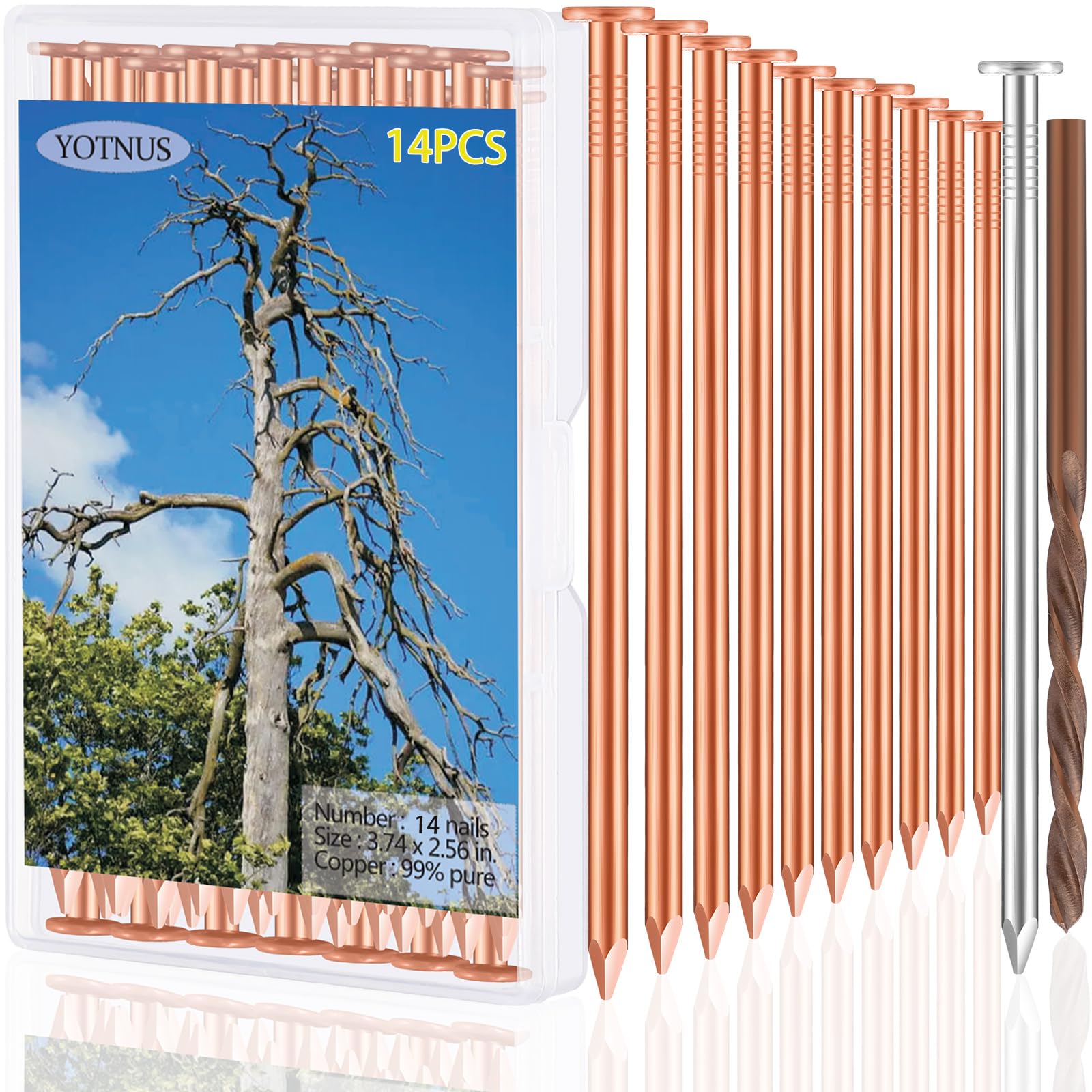 Amazon.com: YOTNUS 12 Pcs Copper Nails for Killing Trees, Stumps ...