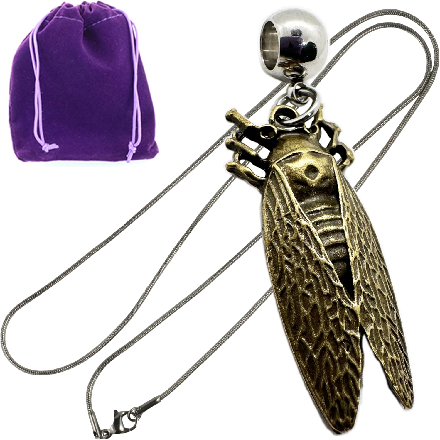 Amazon.com: Cicada Gifts - Cicada Jewelry Stainless Steel Snake Chain ...