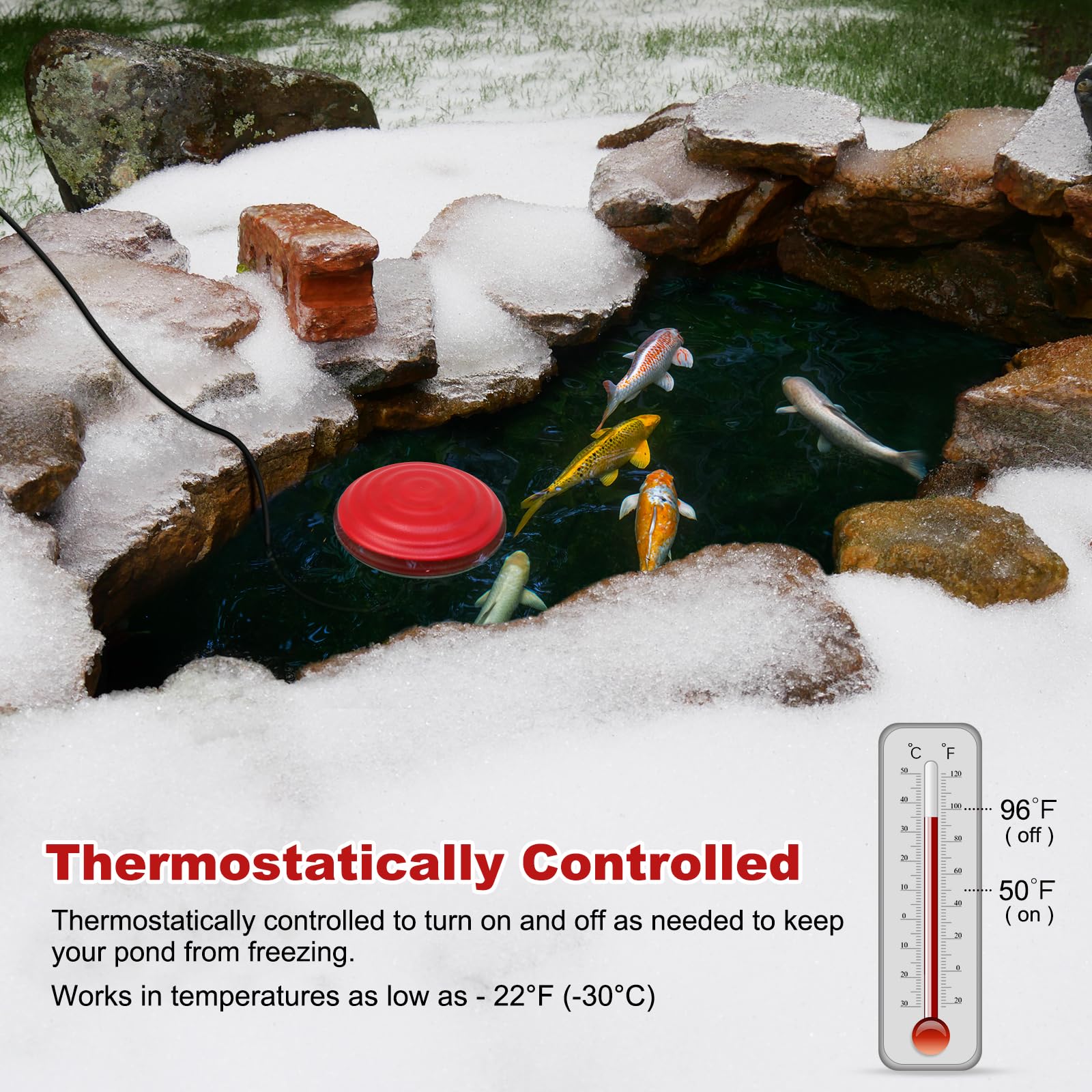 Outdoor Koi Pond Heaters Add These Pond Fish For Color | Tropical Fish