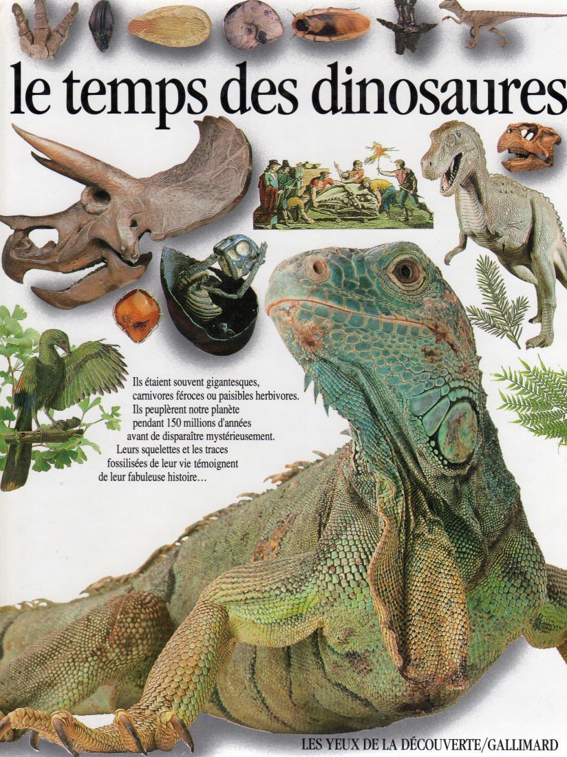 Amazon.fr - Le Temps des dinosaures - Milner, Angela, Milner, Angela ...