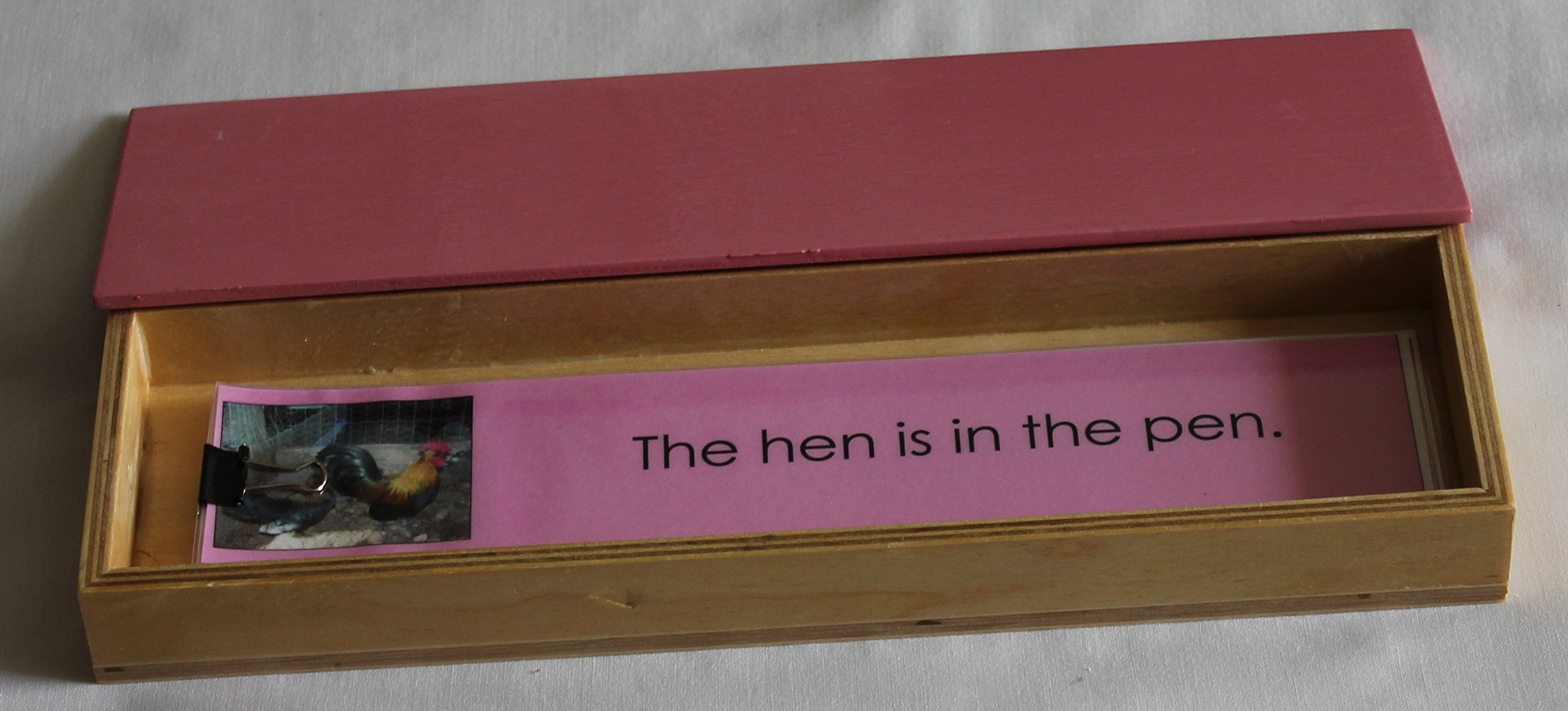 Buy JNANAMUDRA-Montessori-Language-Pink Rectangular Boxes for Sentences ...
