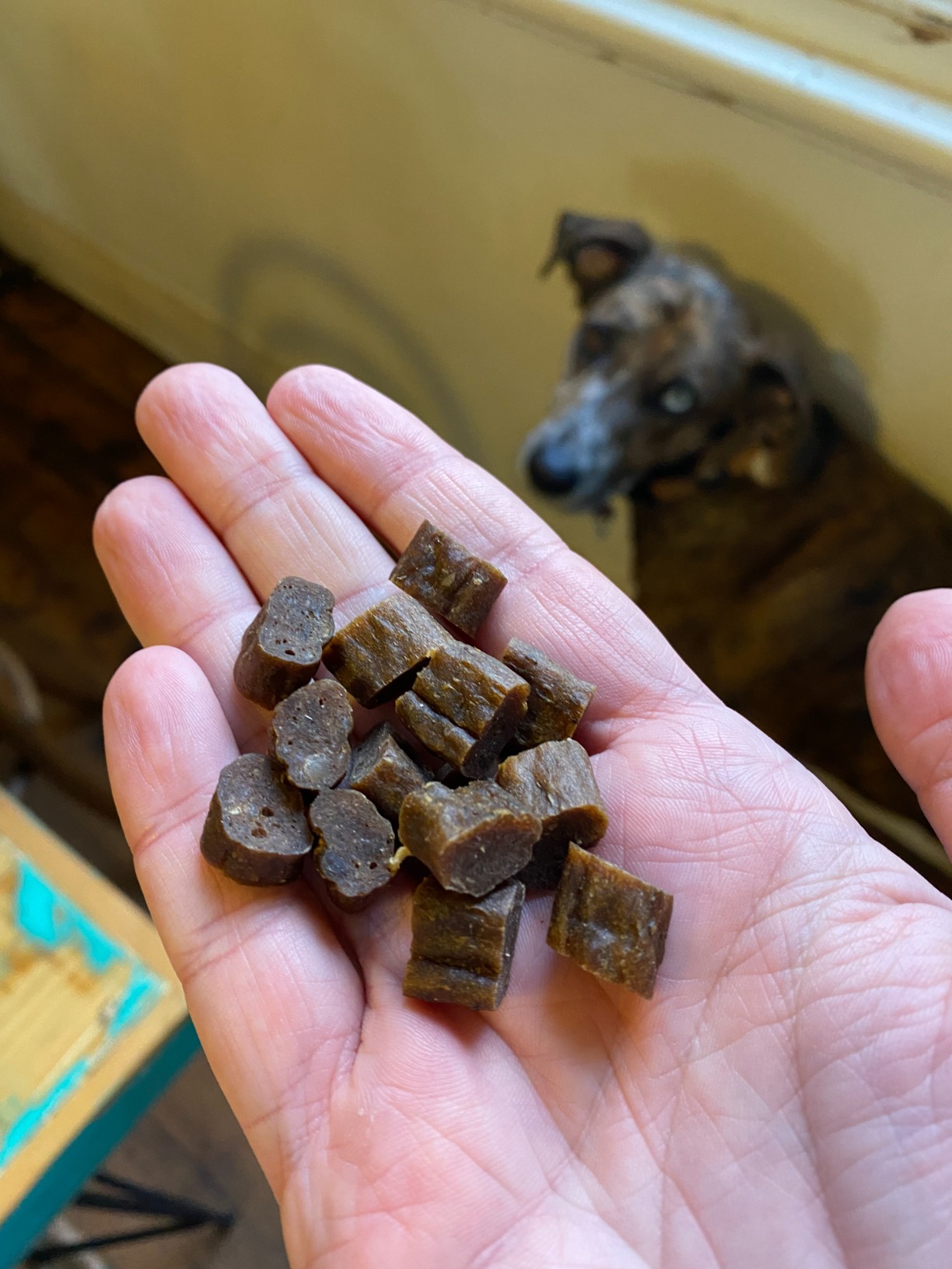 ALL BARKS Aussie Nibbles - 100% Aussie Venison and Kangaroo - Natural ...