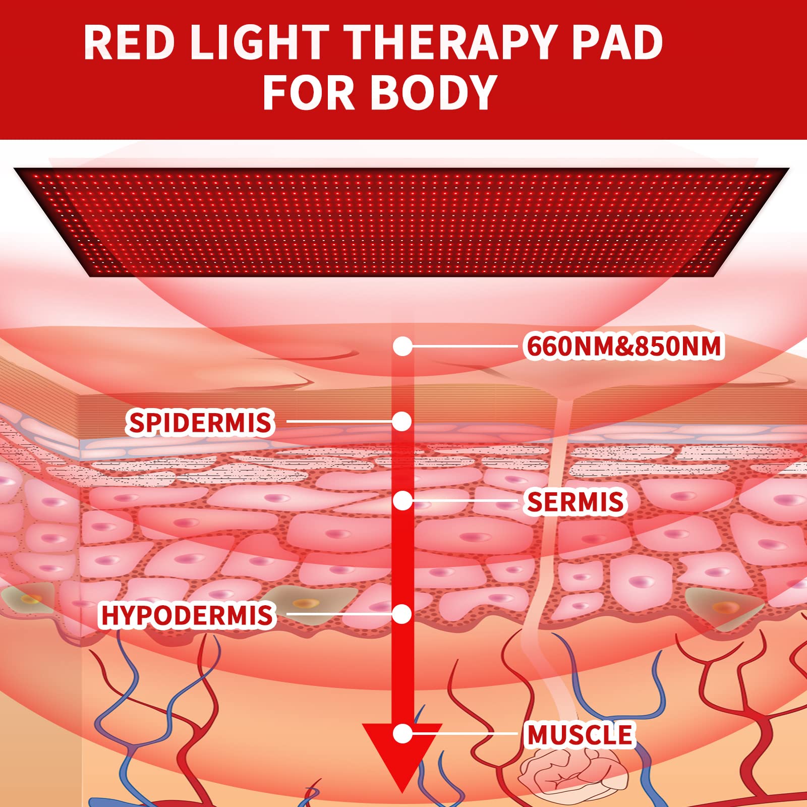 SGROW Red Light Therapy Device Red & Near Infrared Light Pad 1260Pcs ...