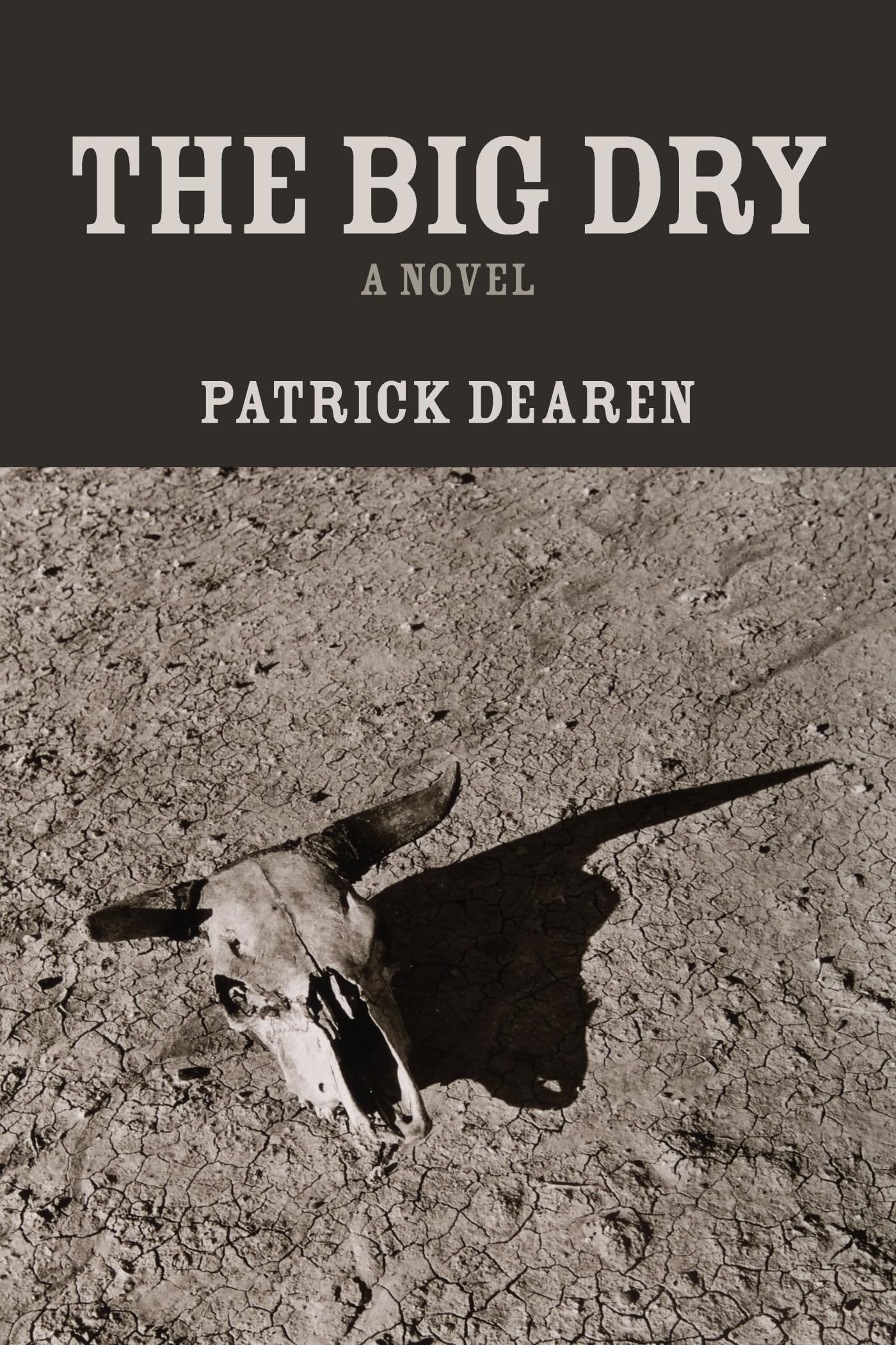 The Big Dry: A Novel: Dearen, Patrick: 9780875658872: Amazon.com: Books