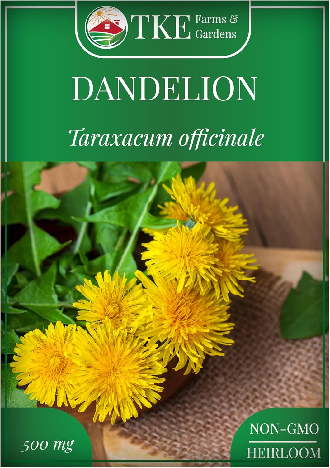 Amazon.com : TKE Farms & Gardens - Dandelion Seeds for Planting, 500 Mg ...