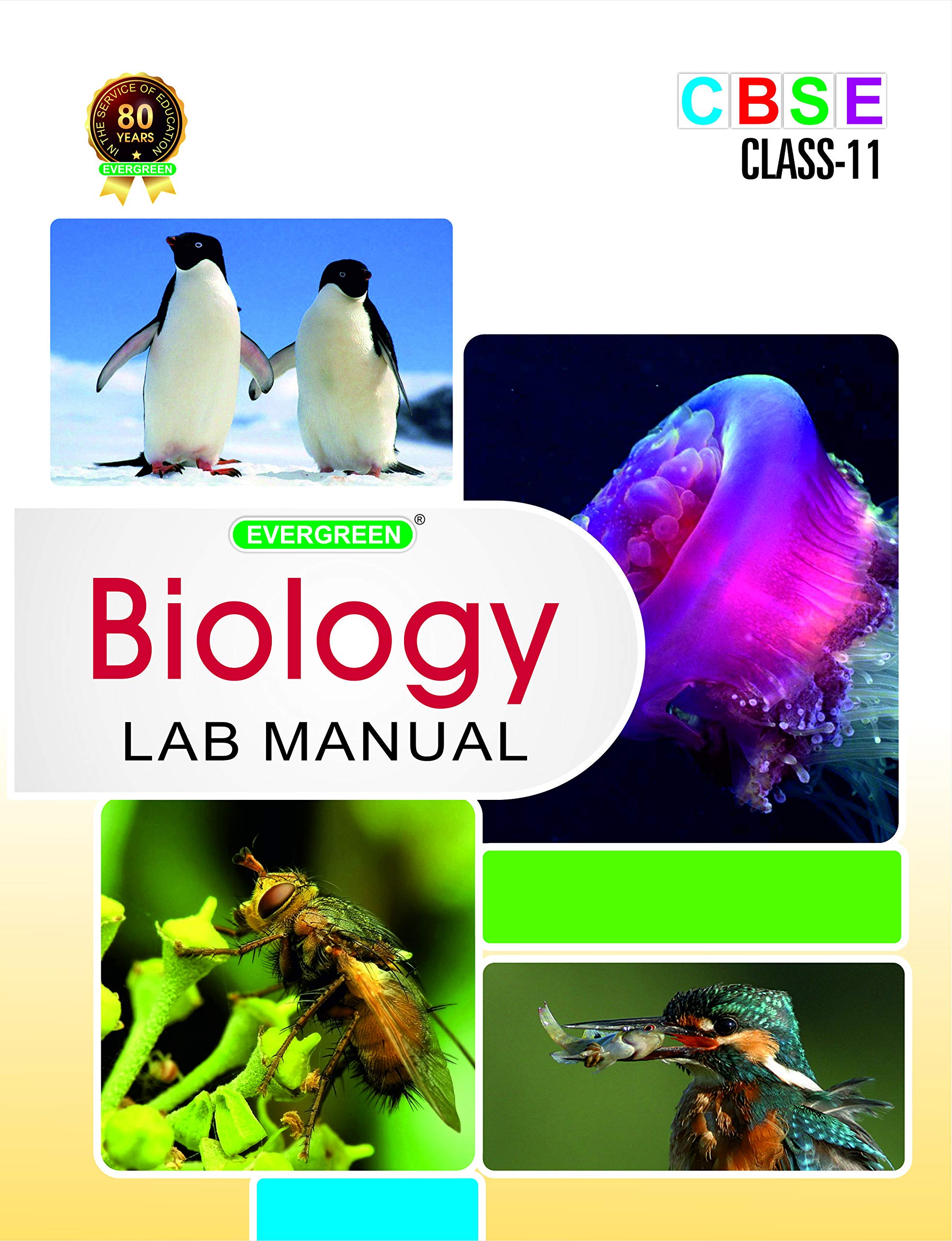 Evergreen CBSE Lab Manual in Biology : For 2021 Examinations(CLASS 11 ...