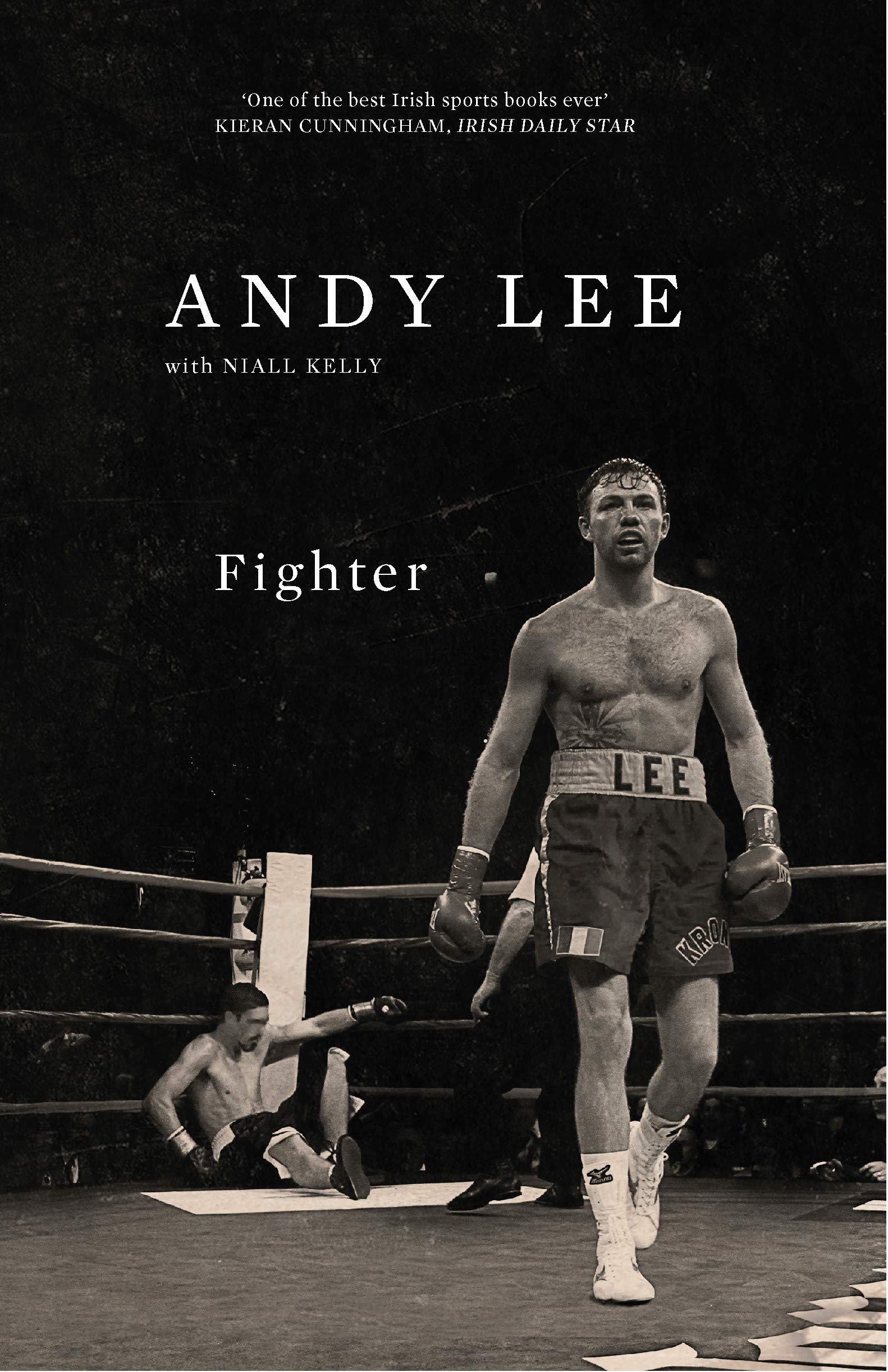 Amazon.com: Fighter: 9780717184897: Andy Lee: Books
