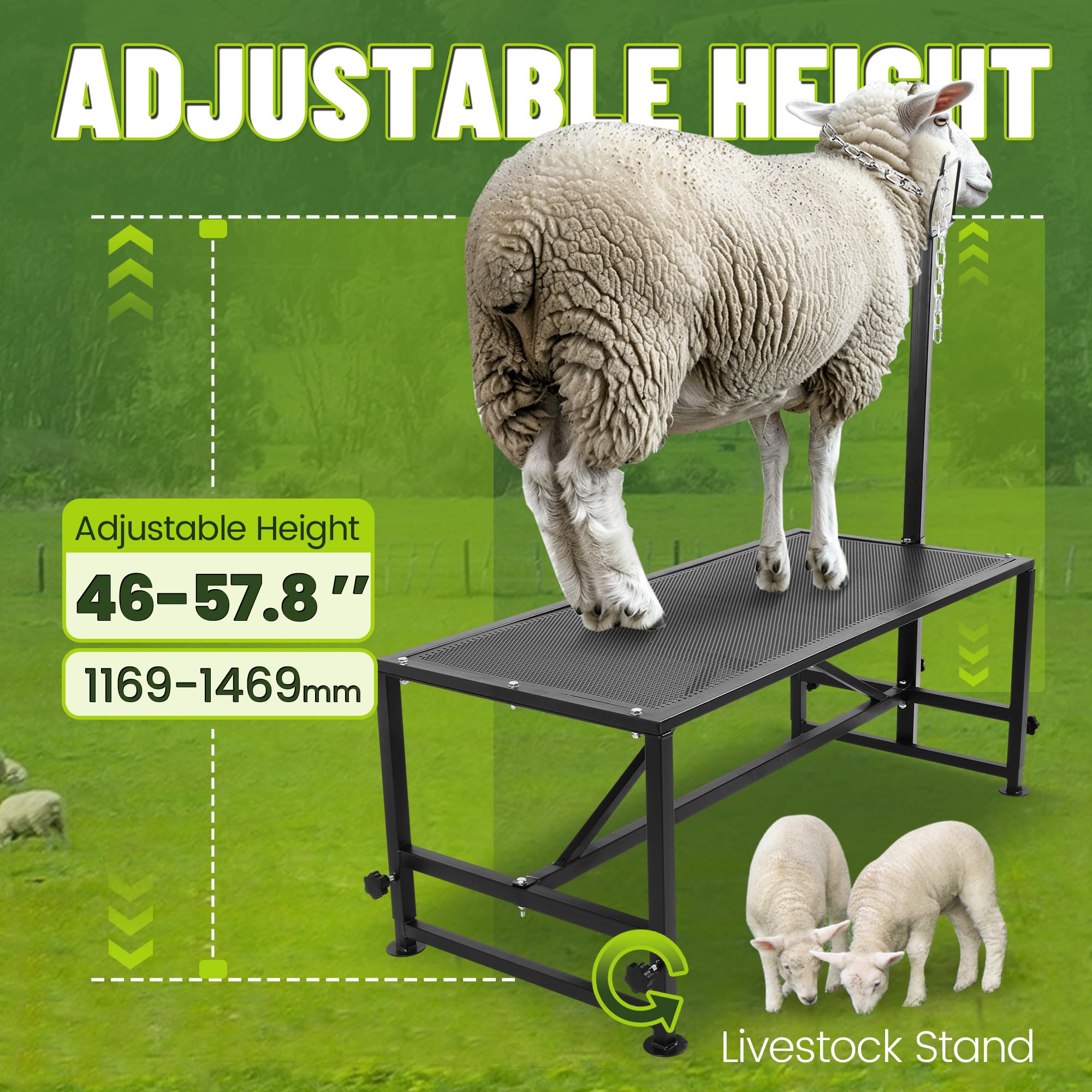 Snapklik.com : Kojem Milking Stand 51x23 Inches, Livestock Trimming ...