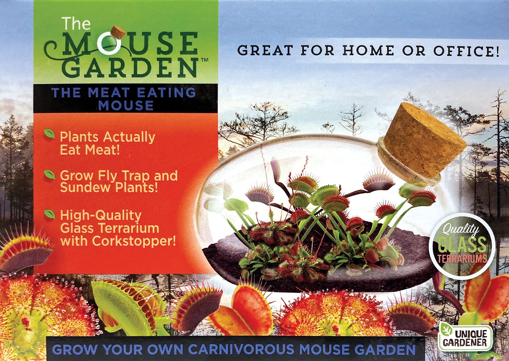 Grow Your Own Carnivorous Mouse Garden With Our Glass Terrarium ...