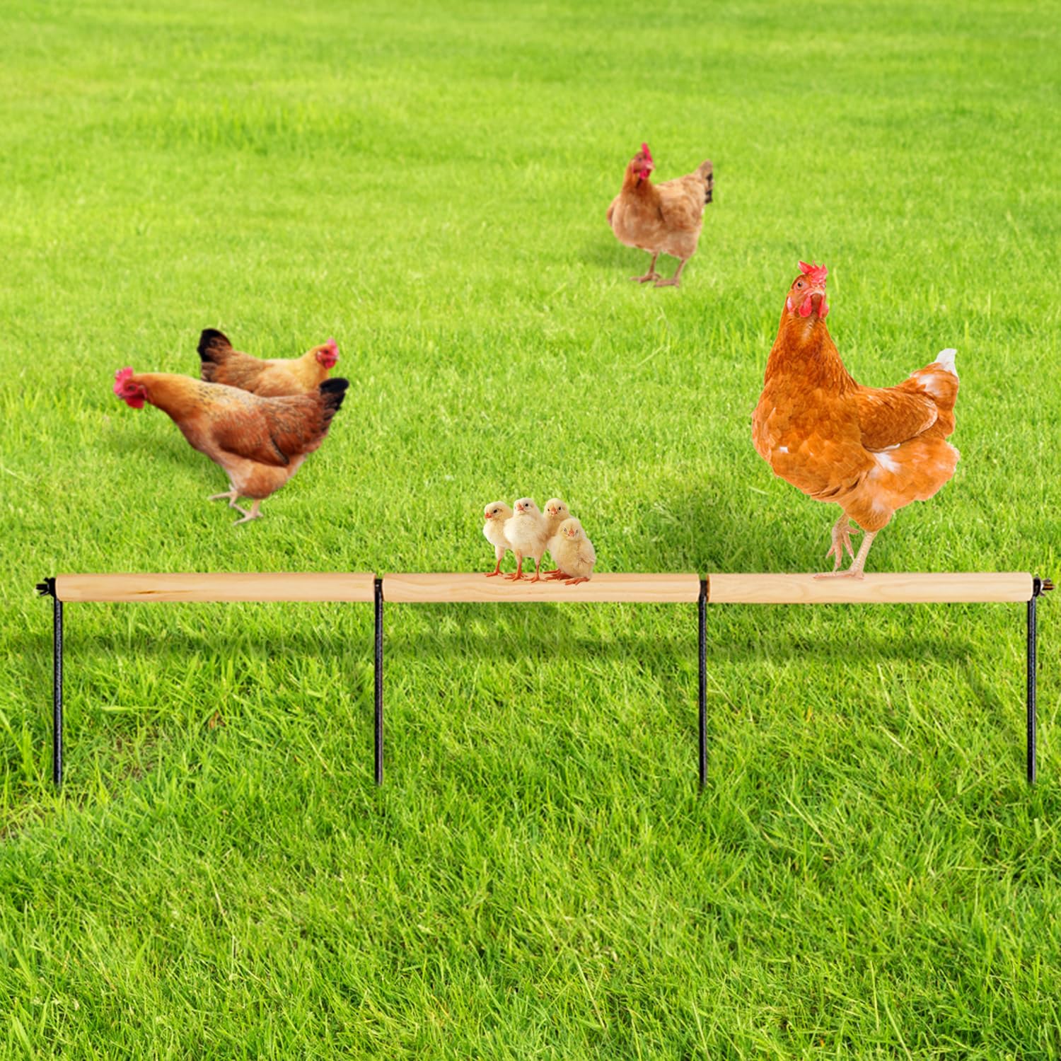 Amazon.com : Chicken Toys, Extra Long Chicken Perch Toys, Woodern ...