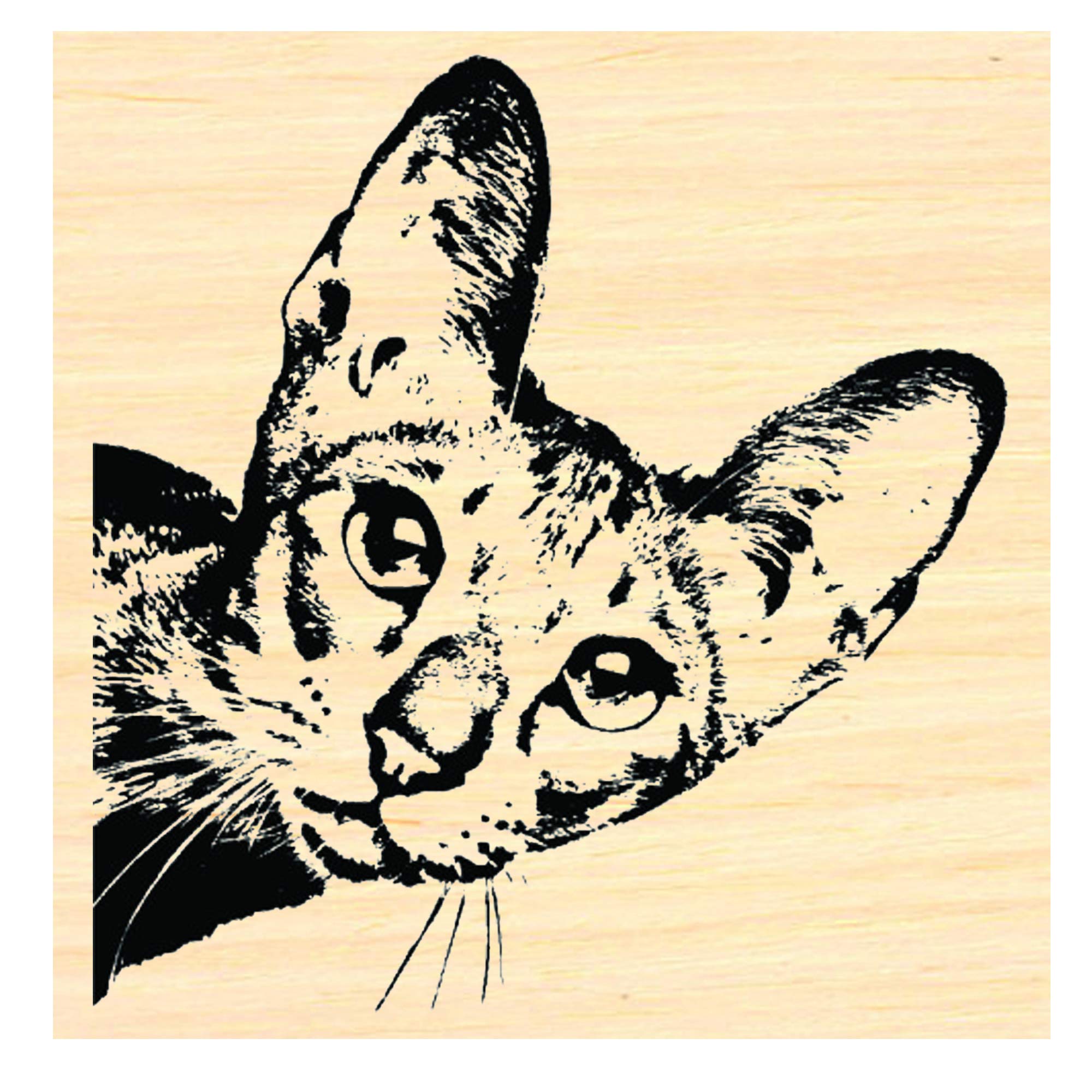 Cat Peeking Around Corner Drawing