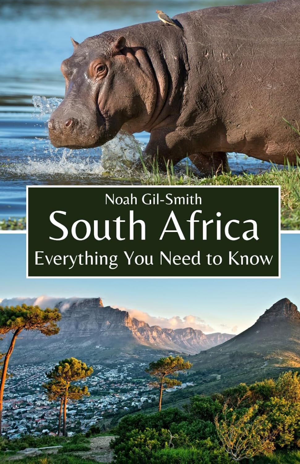 South Africa: Everything You Need to Know: Gil-Smith, Noah ...
