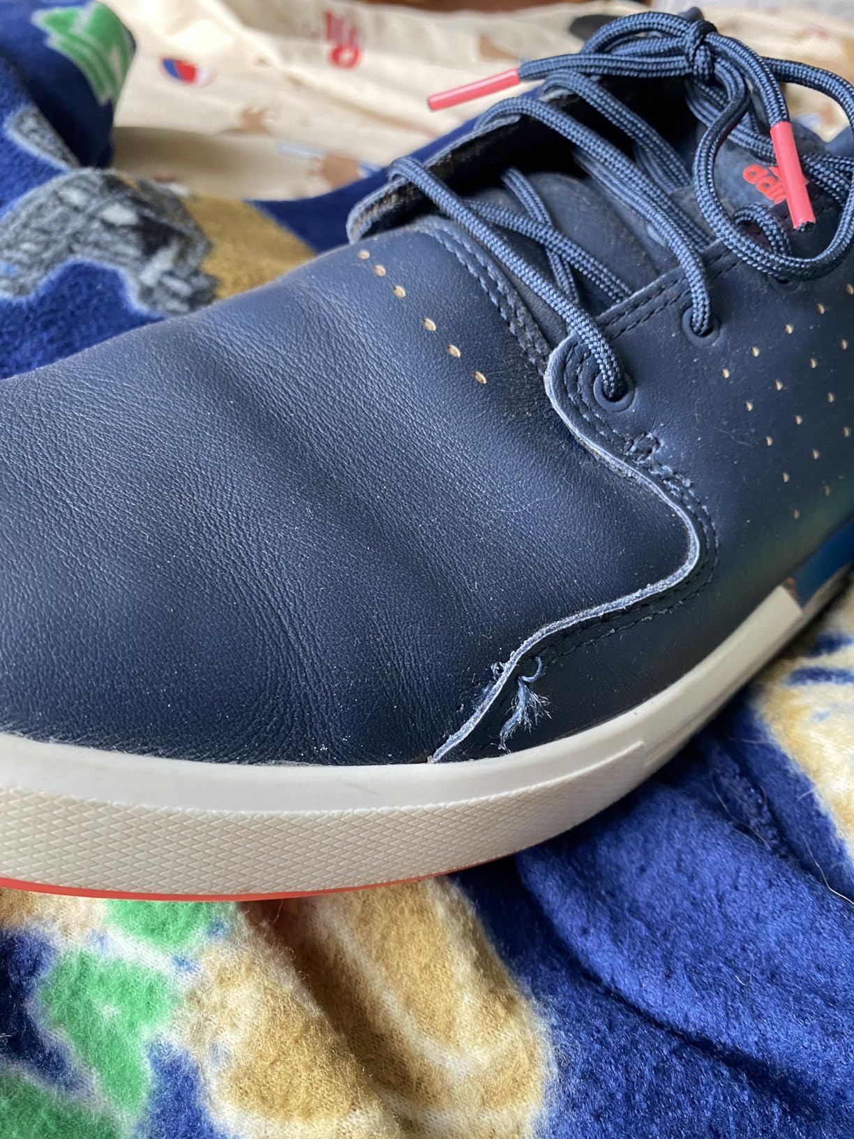 Amazon.com | adidas Men's Flopshot Spikeless Golf Shoes | Golf