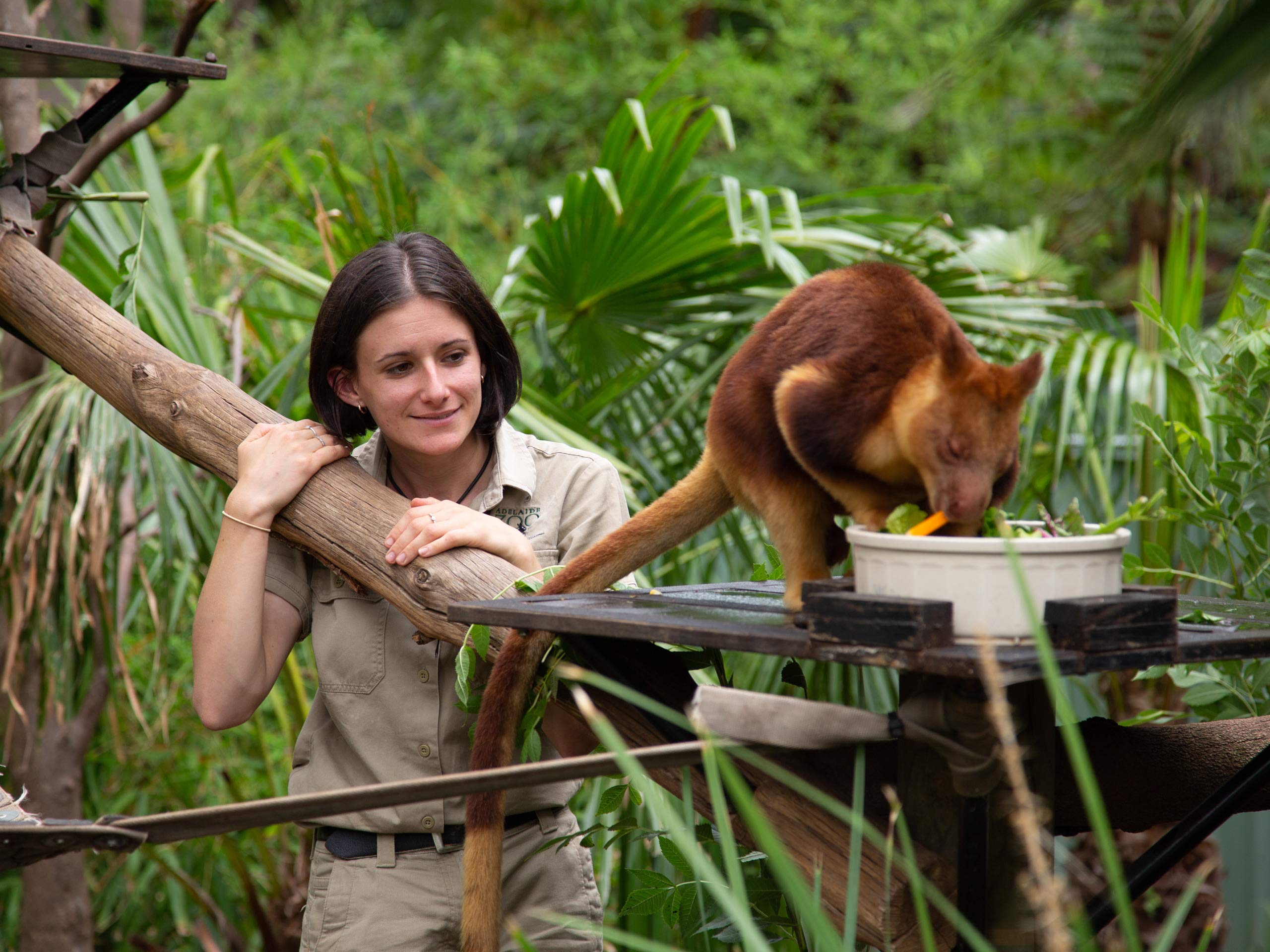 Watch How Do Animals Do That? - Season 101 | Prime Video