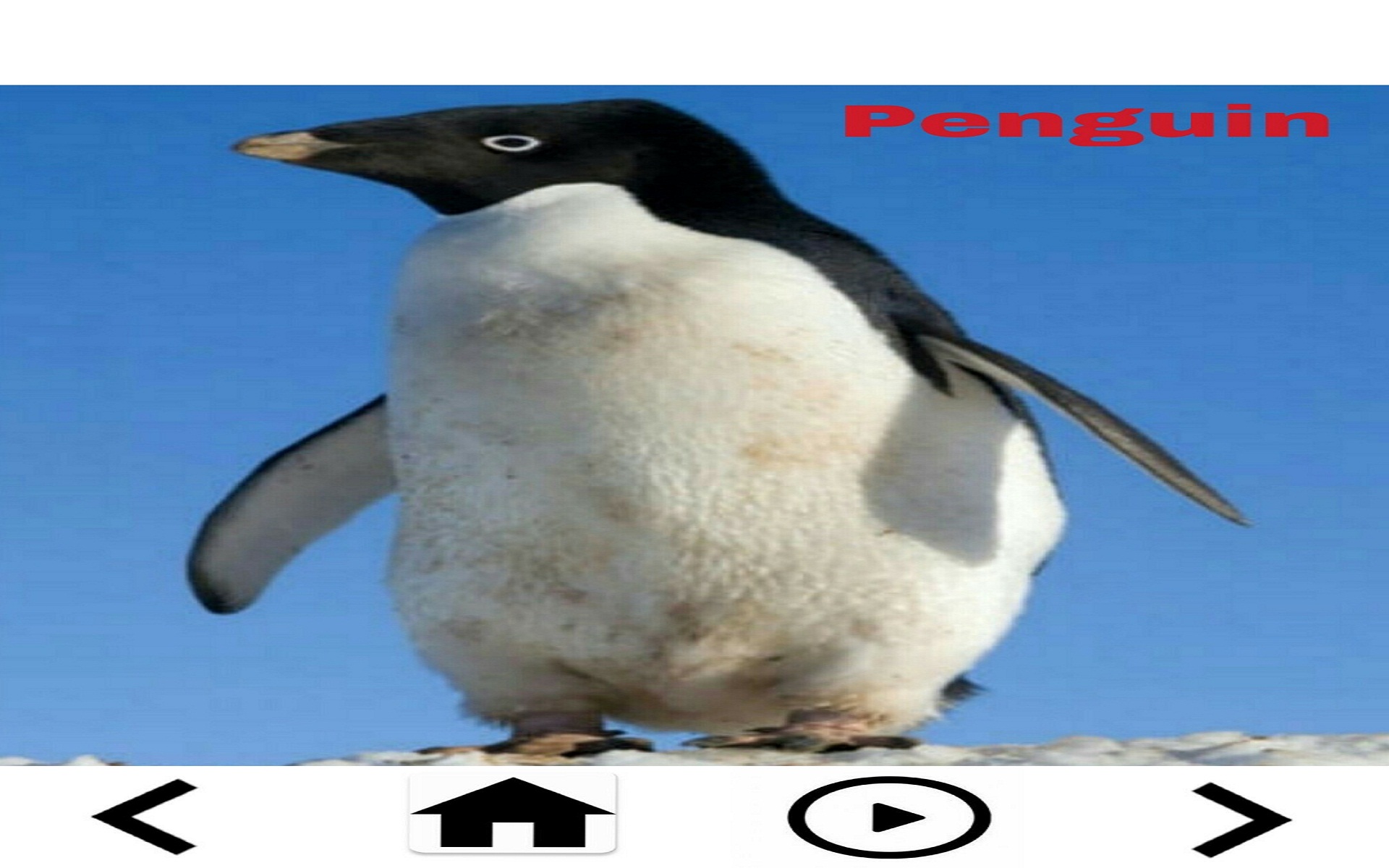 Preschool-Toddler Kids-Baby Educational Learning Games App: Learn All ...