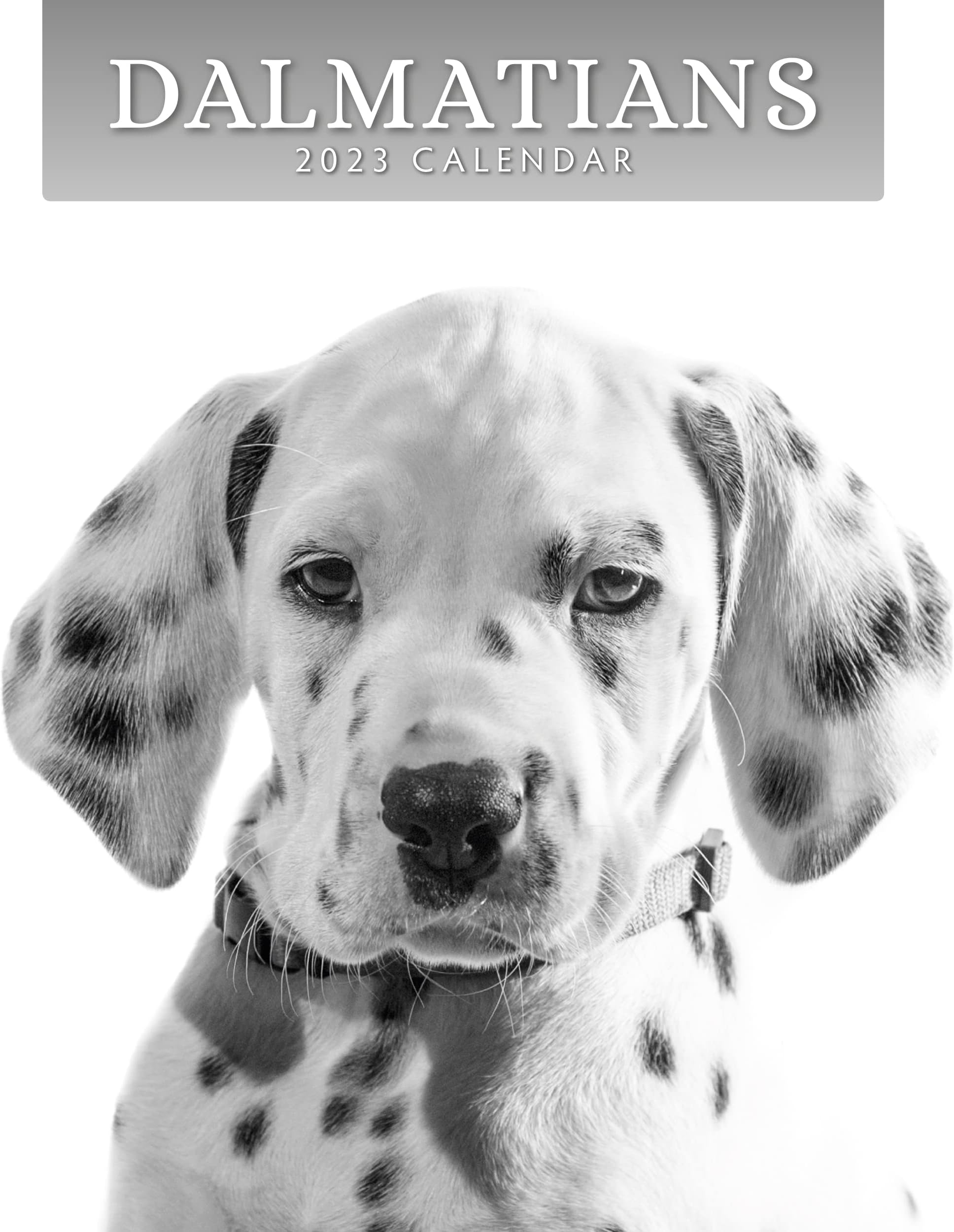 Amazon.com: 2023 Dalmatians Monthly Wall Calendar by Red Robin ...