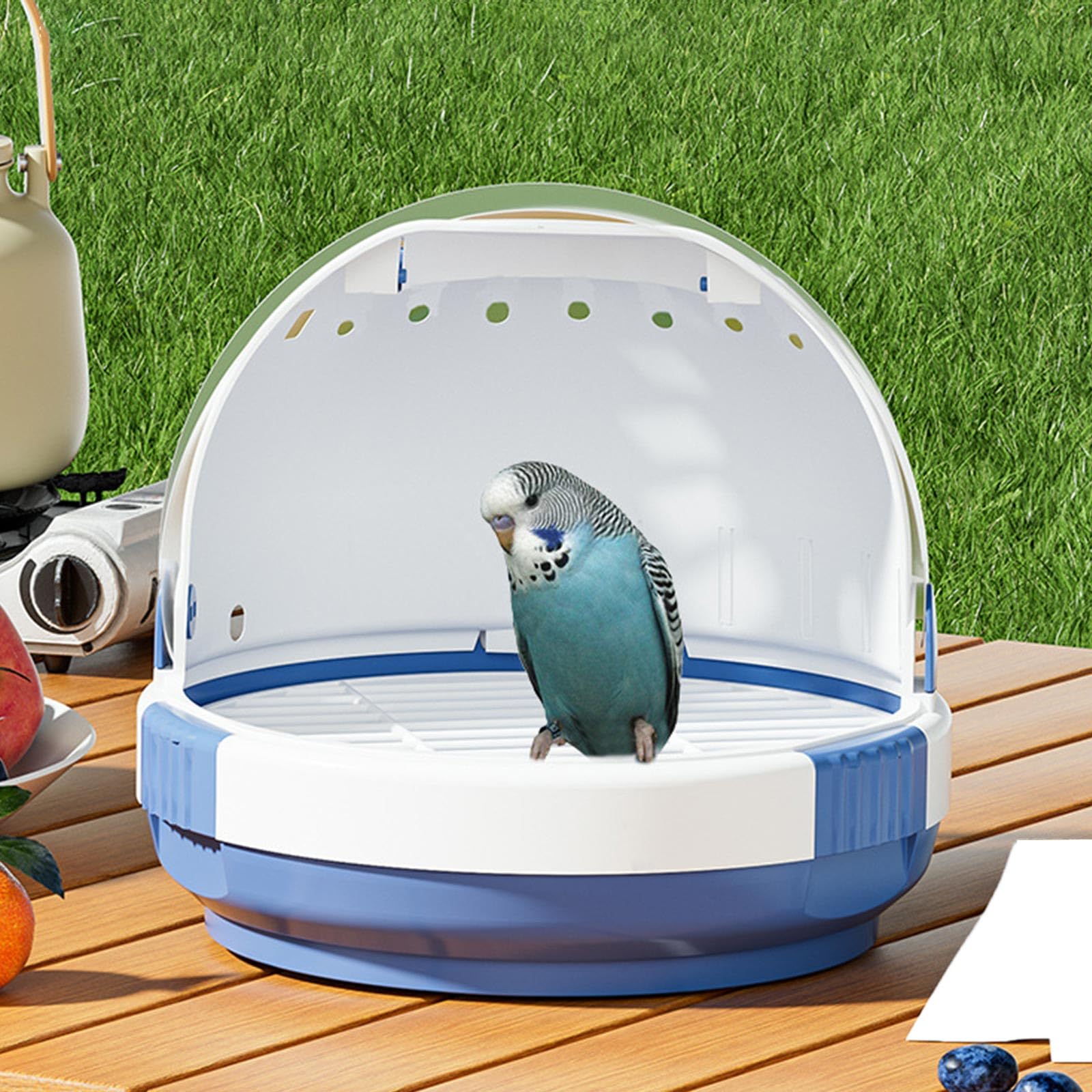 Bird Stuff BIRD TRAVEL CAGE Lightweight Bird Carrier For Small Birds ...