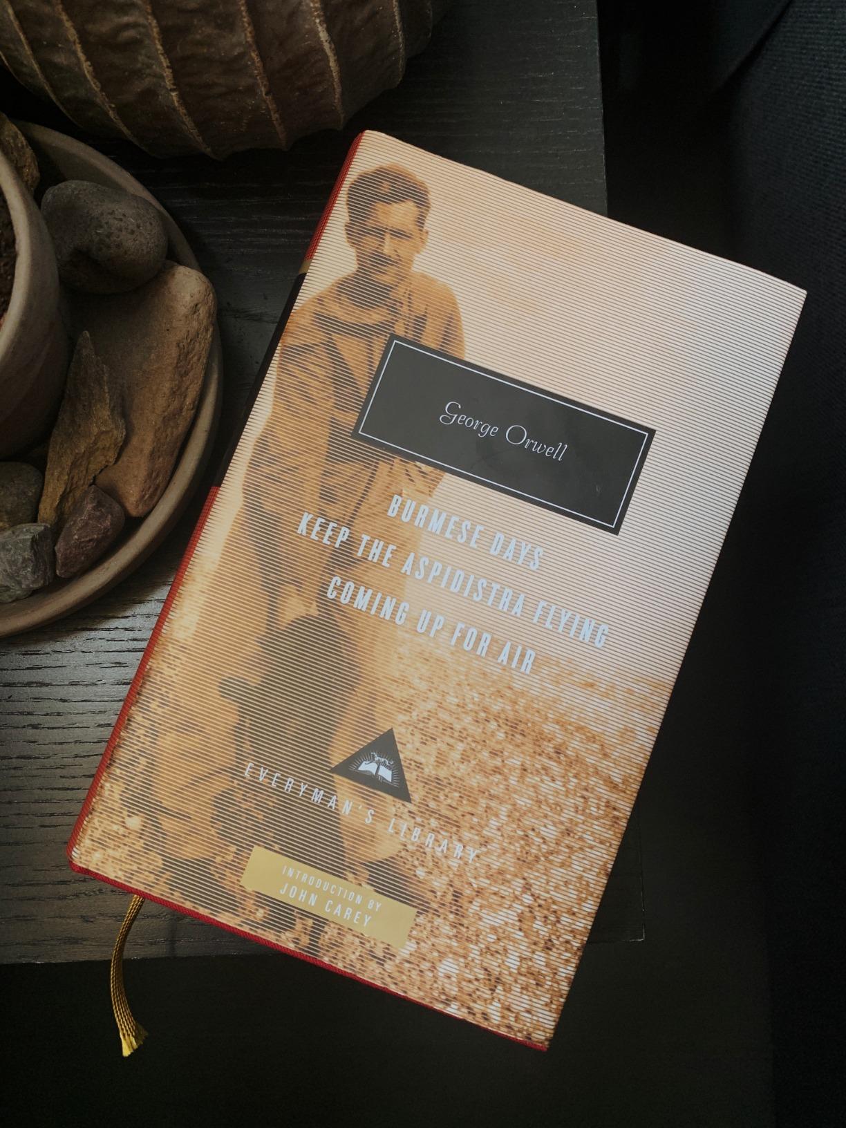 Amazon.it: Burmese Days - Orwell, George, Taylor, D.J. - Libri