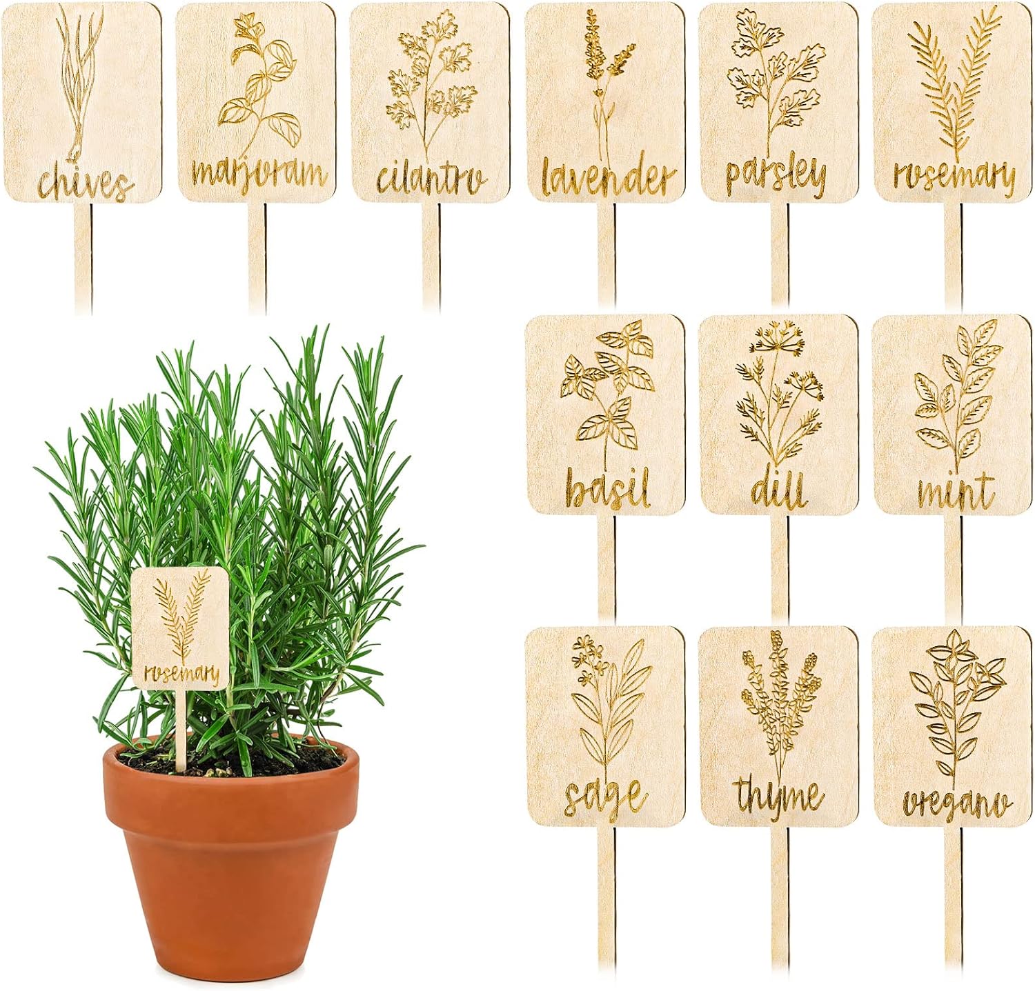 Amazon.com: Whaline 24Pcs Wooden Plant Labels Sign Planted Herb Markers ...