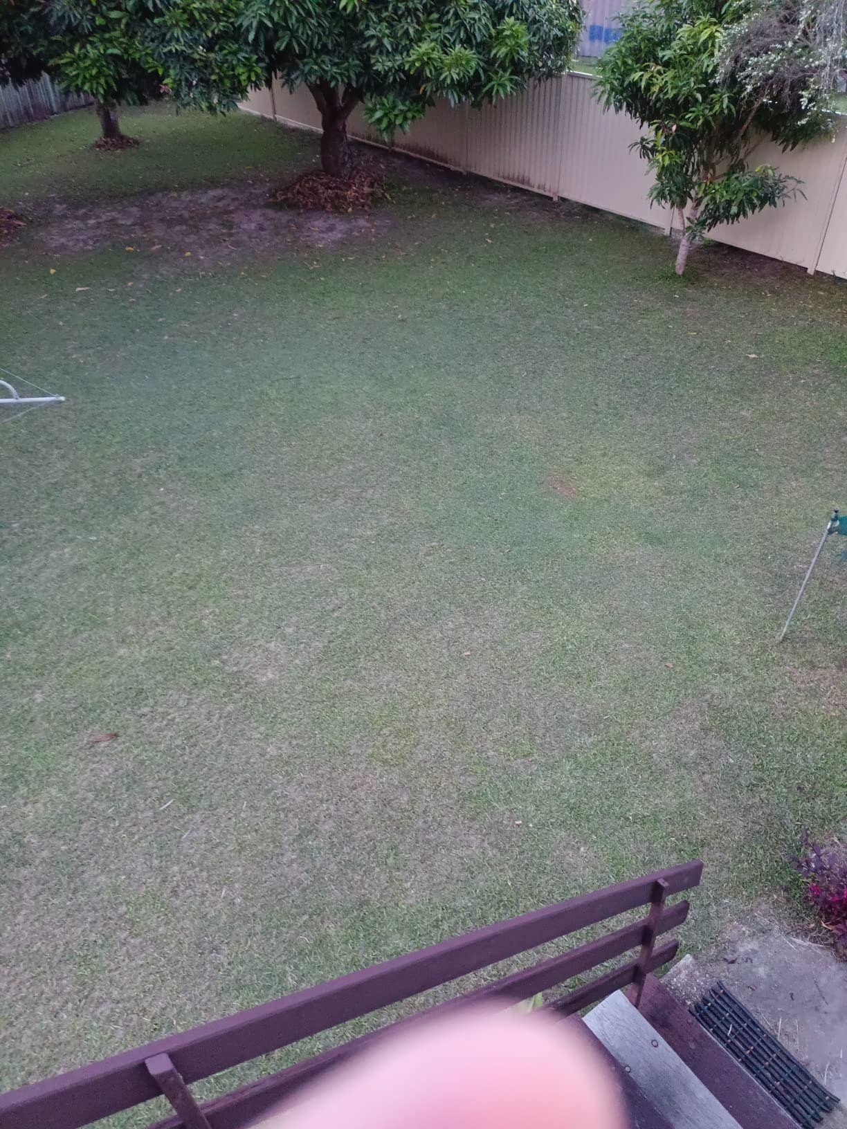 Flymo H40 Hand Push Mower, Grey/Black/Orange : Amazon.com.au: Garden