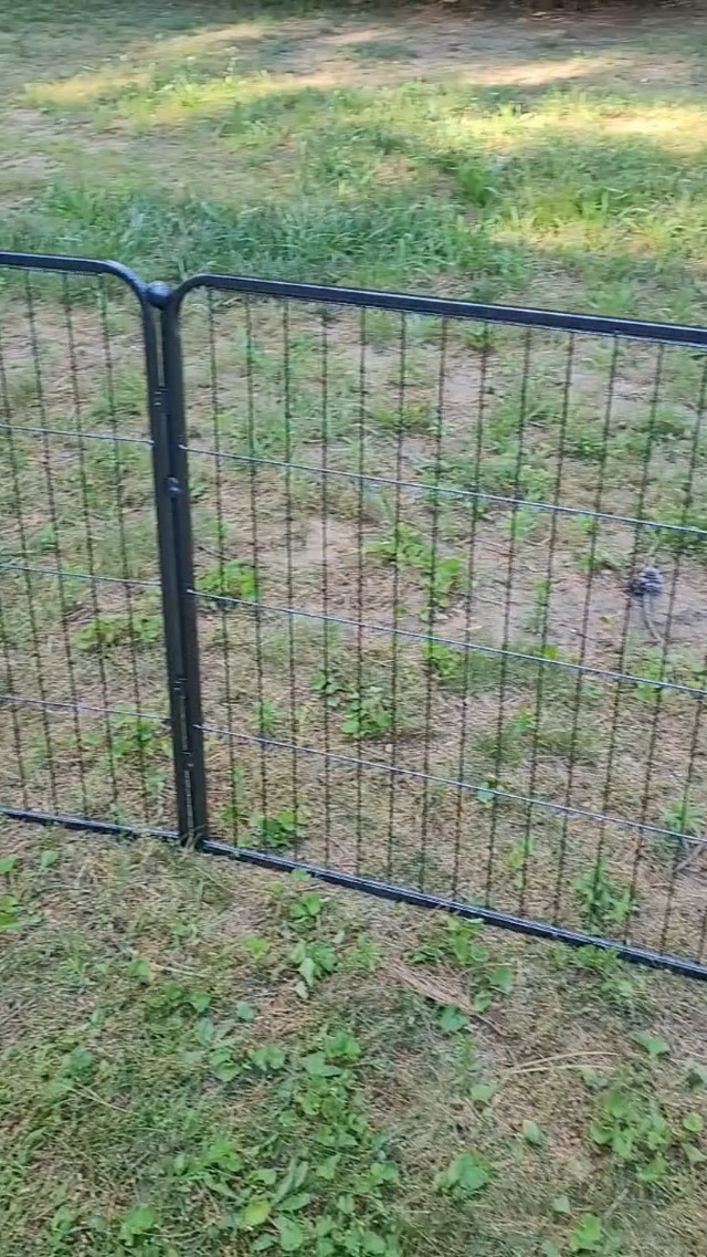 Watch Best Portable Dog Fence For Your Yard I Love It! on Amazon Live