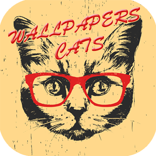 Cute Cat Wallpaper & Cute Wallpaper - App on Amazon Appstore