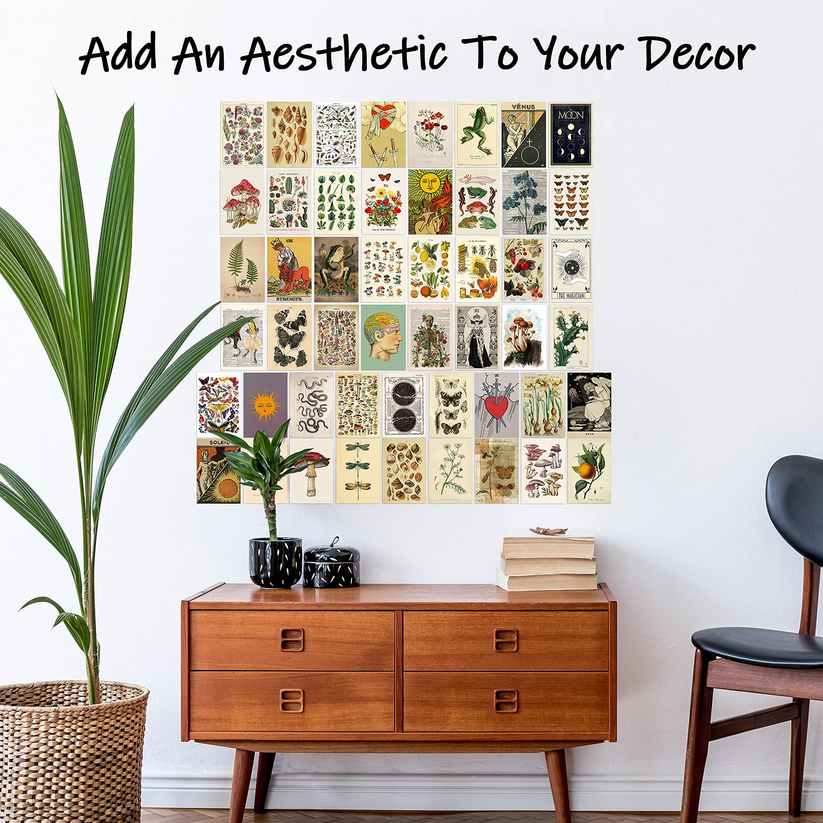 Dongpong Wall Collage Kit Aesthetic Pictures, Vintage Photo Collage Kit ...