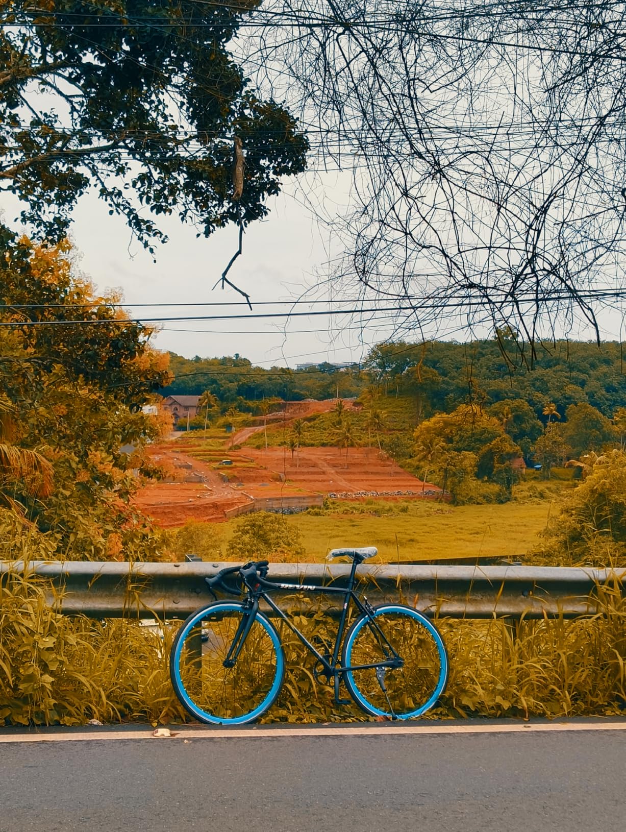 Revin Bikes Fixie 700C Roadbike Rigid Suspension Bicycle/Bike Without ...