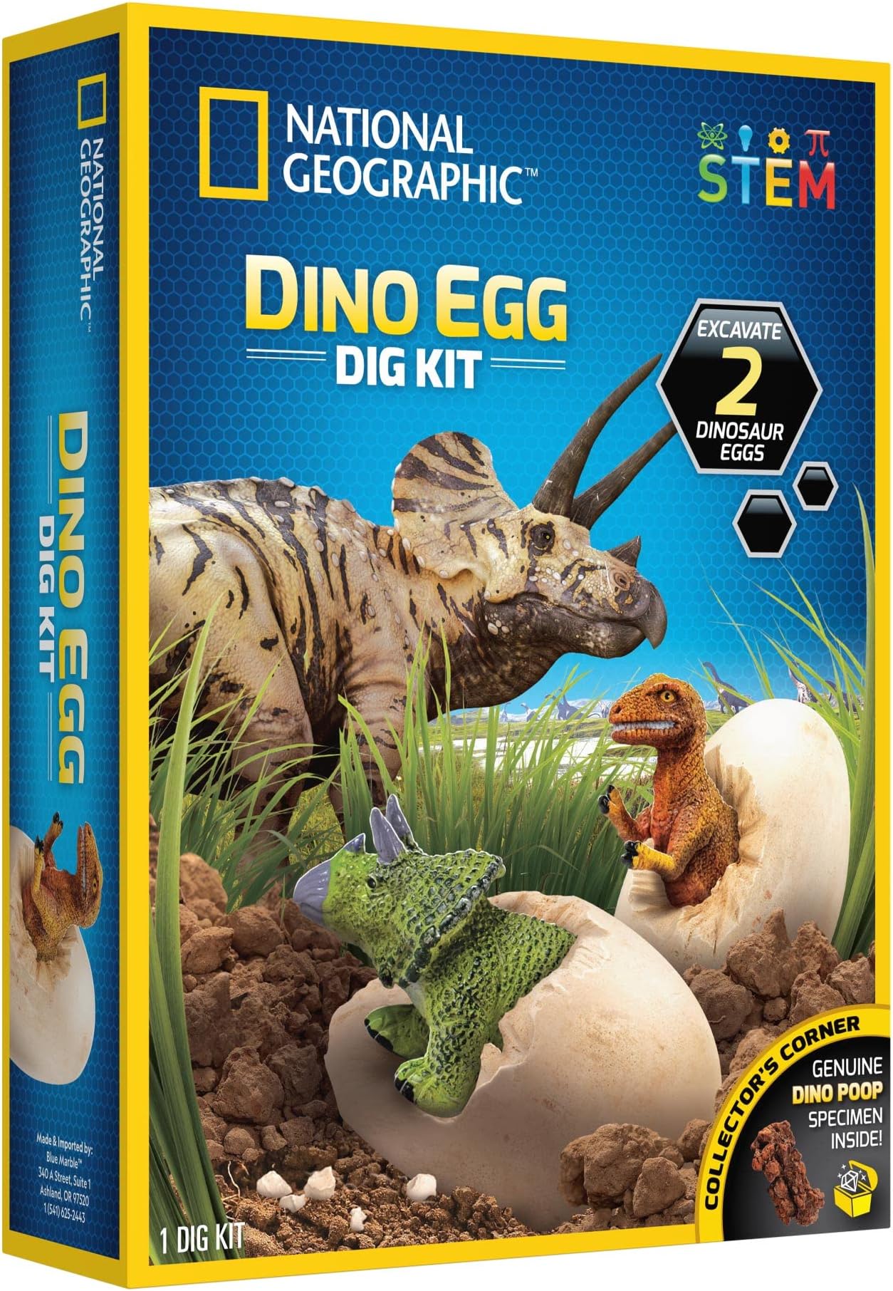 National Geographic Dino Egg Dig Kit – Excavate 12 Dinosaur Figures ...