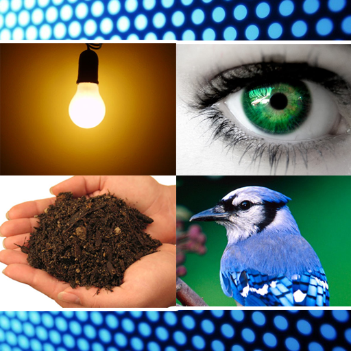 Picture The Word PRO - App on Amazon Appstore