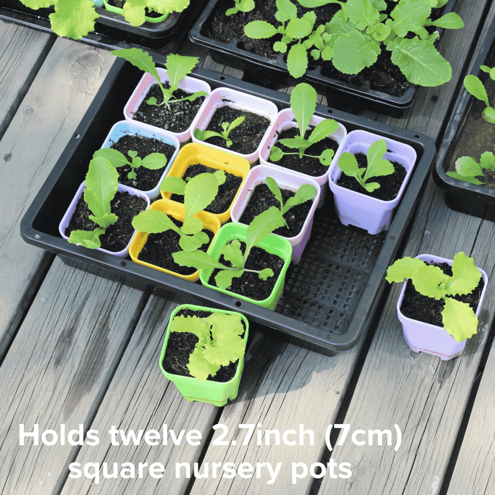 Snapklik.com : BeGrit Soil Blocking Trays 125x9 Inch Mesh Bottom 5 Pack ...