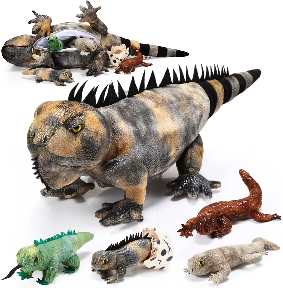 The Super Red Iguana: A Stunning Reptile With Vibrant Coloration | PetShun