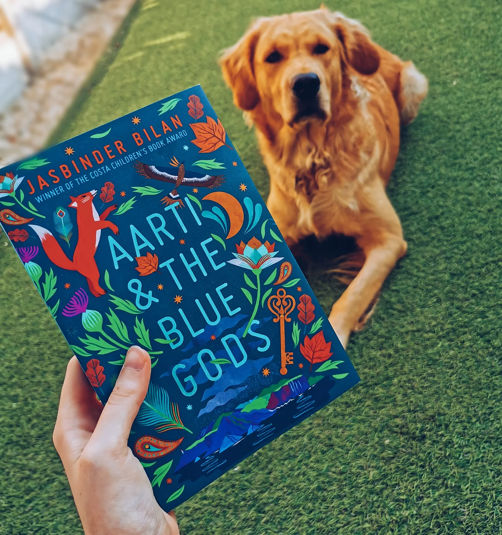 Aarti & the Blue Gods: from the winner of the Costa Children's Book ...