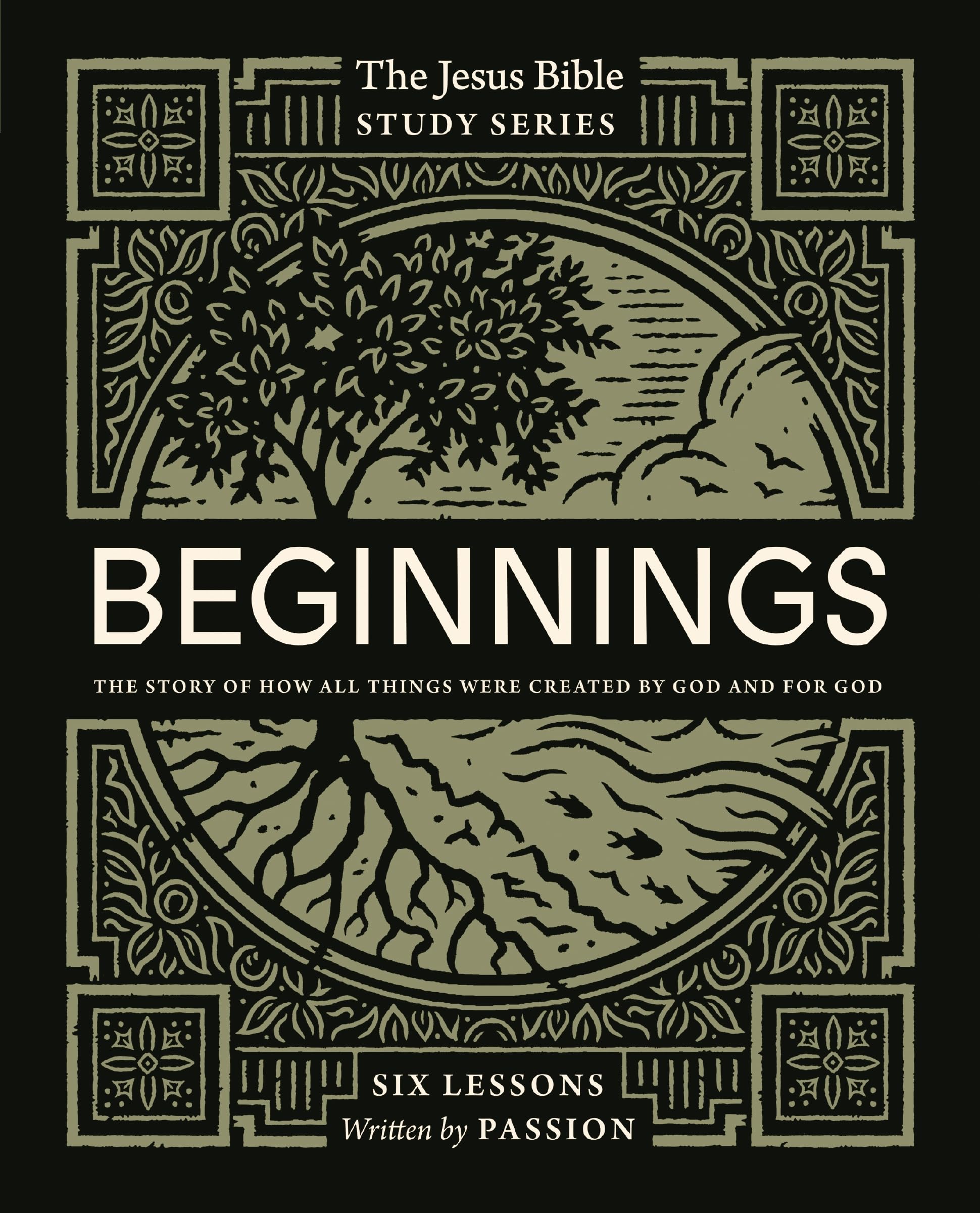 Beginnings Bible Study Guide: The Story of How All Things Were Created ...