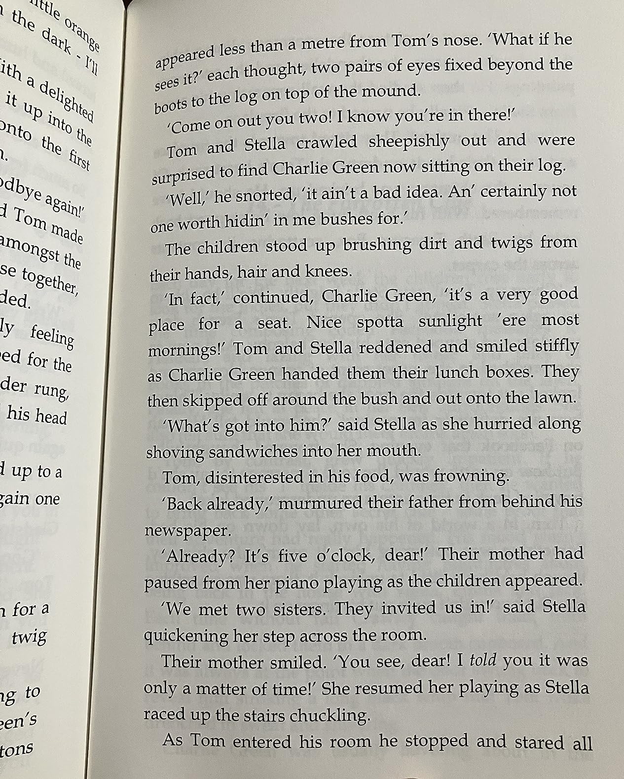 The Secret Lake: A children's mystery adventure [Lingua Inglese ...
