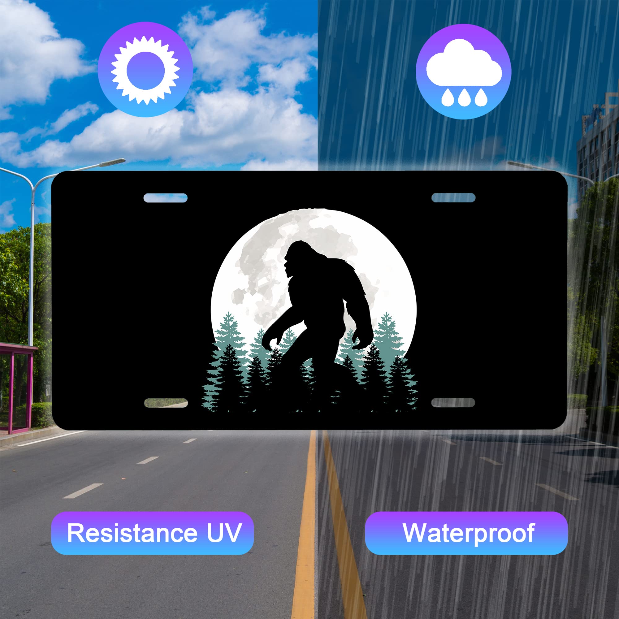 Ride On Car Plate Stick-On Novelty Ride-On Car Number Plate ...