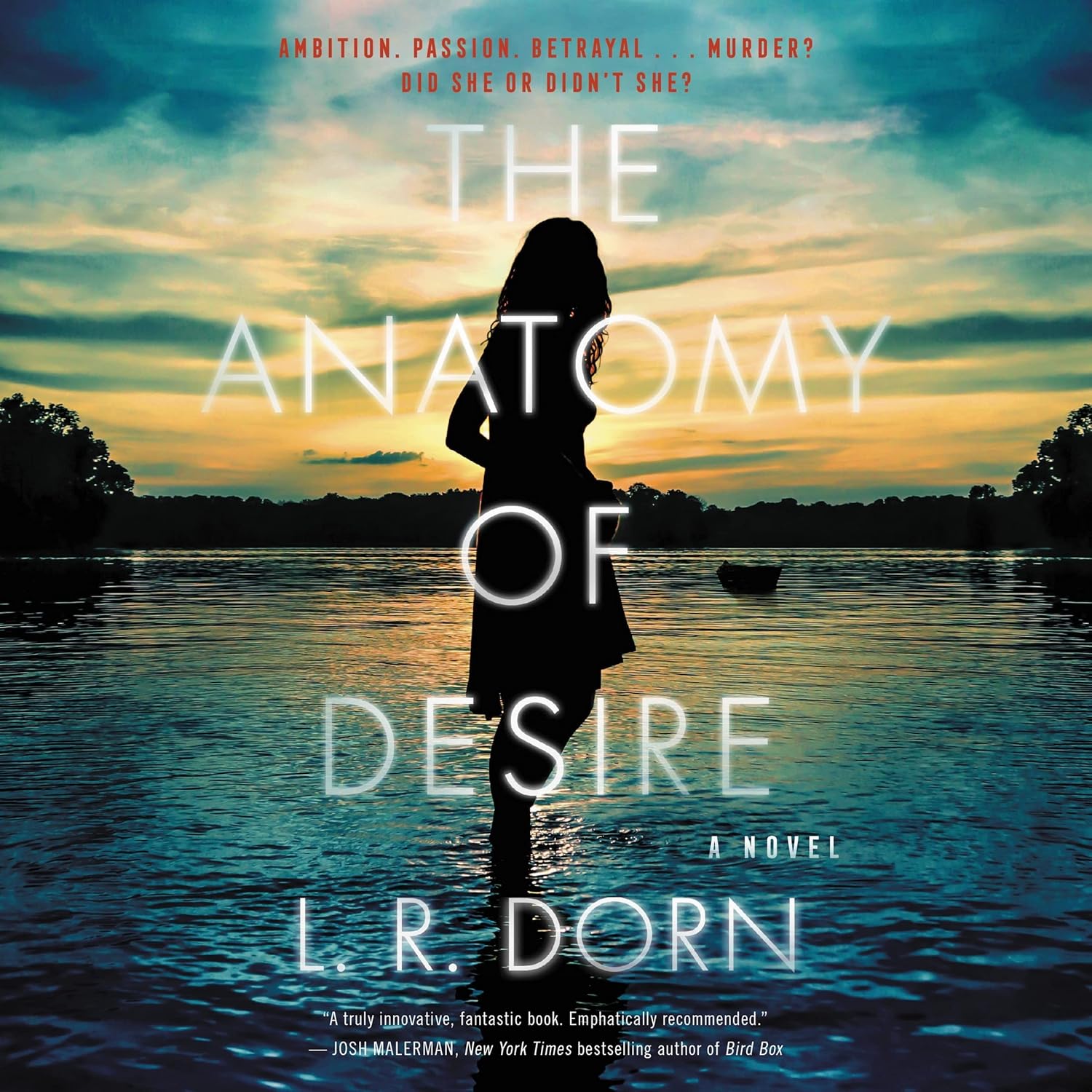 The Anatomy of Desire: A Novel: L. R. Dorn: 9781665076142: Amazon.com ...