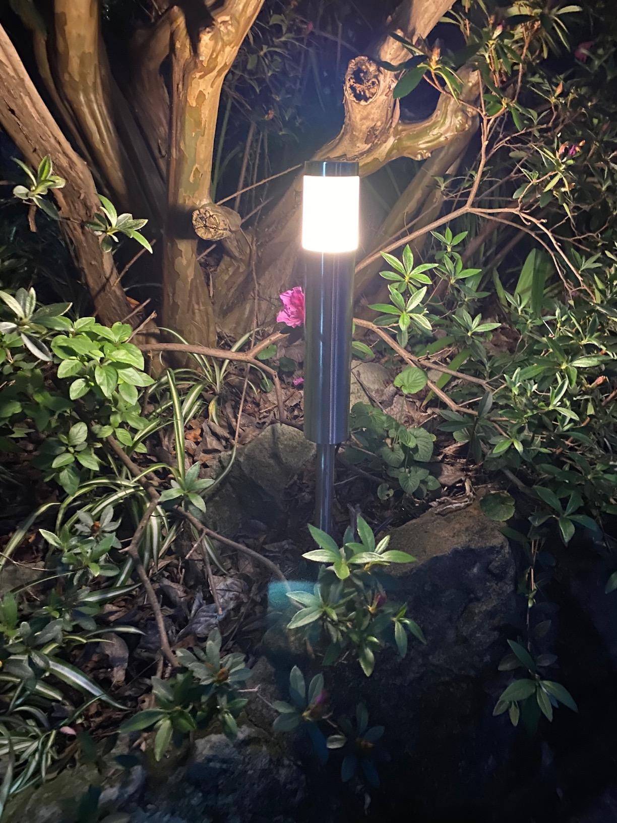 HPM Cacto 12V 1W LED Stainless Steel Bollard Garden Light : Amazon.com ...